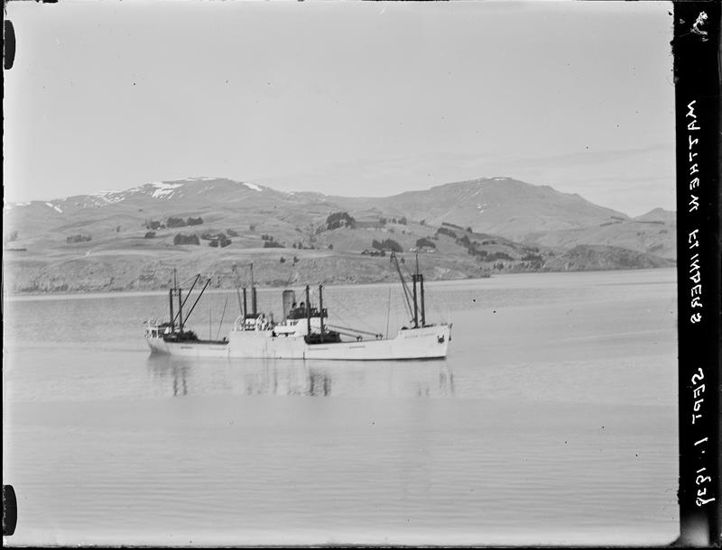Glass plate: Cargo ship MATTHEW FLINDERS (1938), 1 Sept 1939 - New ...