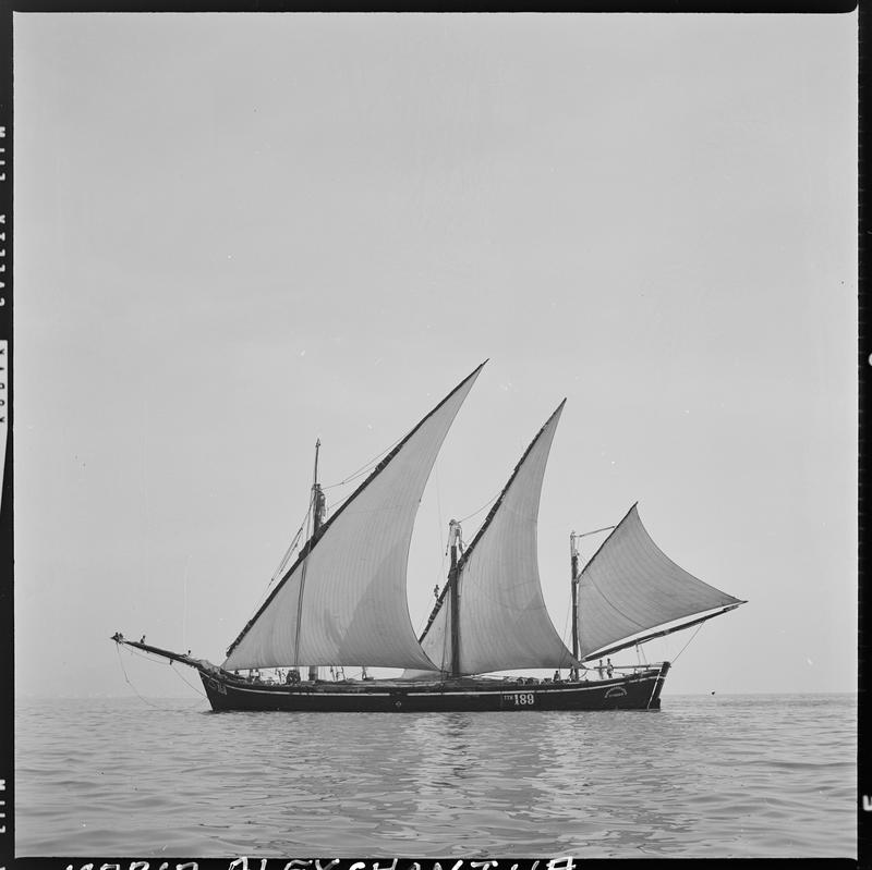 Negative: Thoni MARIA ALEXSHANTHA 189, Bombay, 1973 - New Zealand ...