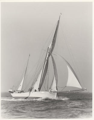 Photograph: Thames barge [VERONICA (1906)] sailing vessel at sea, bow ...