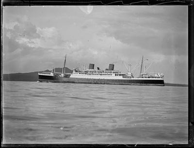 Glass plate: Steam cargo-passenger vessel [RANGITATA (1929)] - New ...