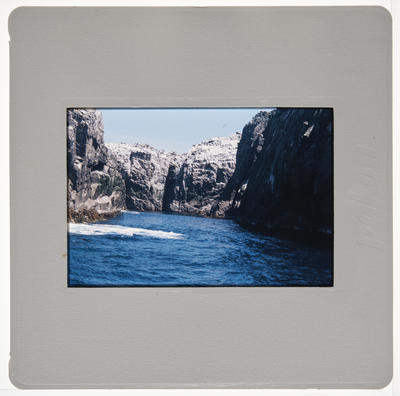 Slide: The Bounty Islands, 1997 - New Zealand Maritime Museum