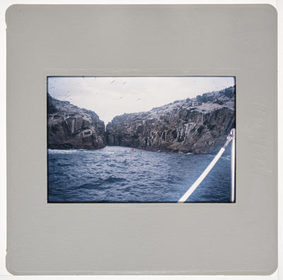 Slide: The Bounty Islands, 1997-1998 - New Zealand Maritime Museum