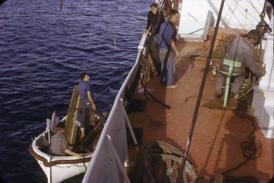 Slide: Unloading coal, Cuvier Island Light Station - New Zealand ...