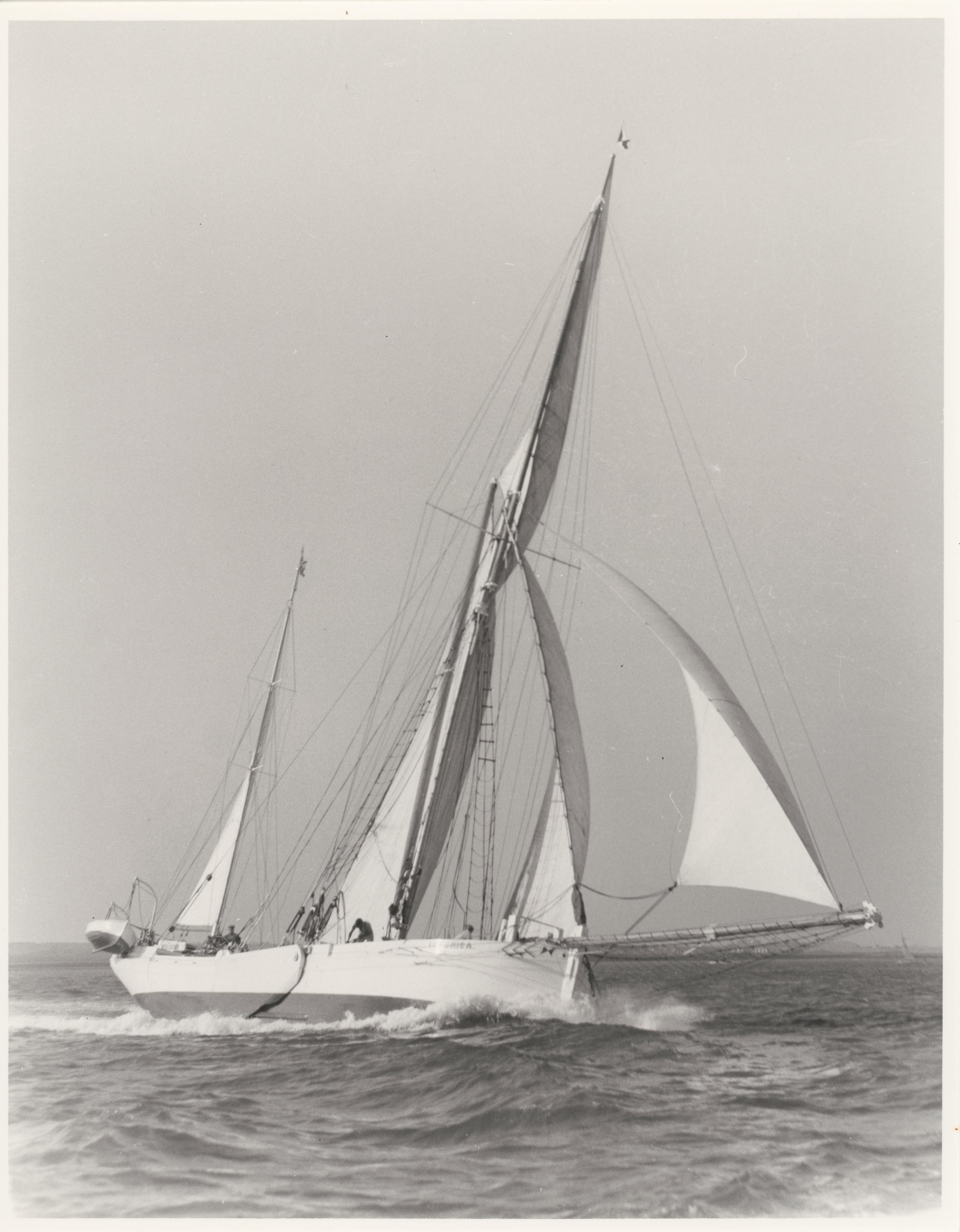 Photograph: Thames barge [VERONICA (1906)] sailing vessel at sea, bow ...