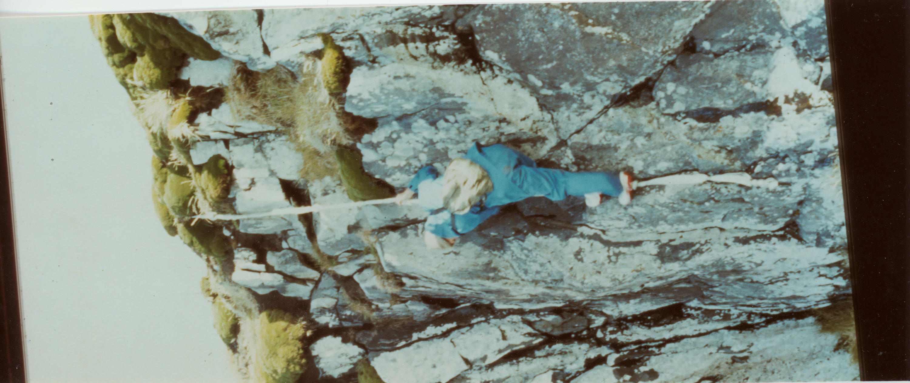 Photograph: Coastal landscape, climber on rope - New Zealand Maritime ...