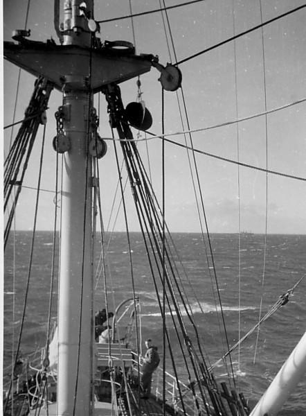 Photograph: MATAI - New Zealand Maritime Museum
