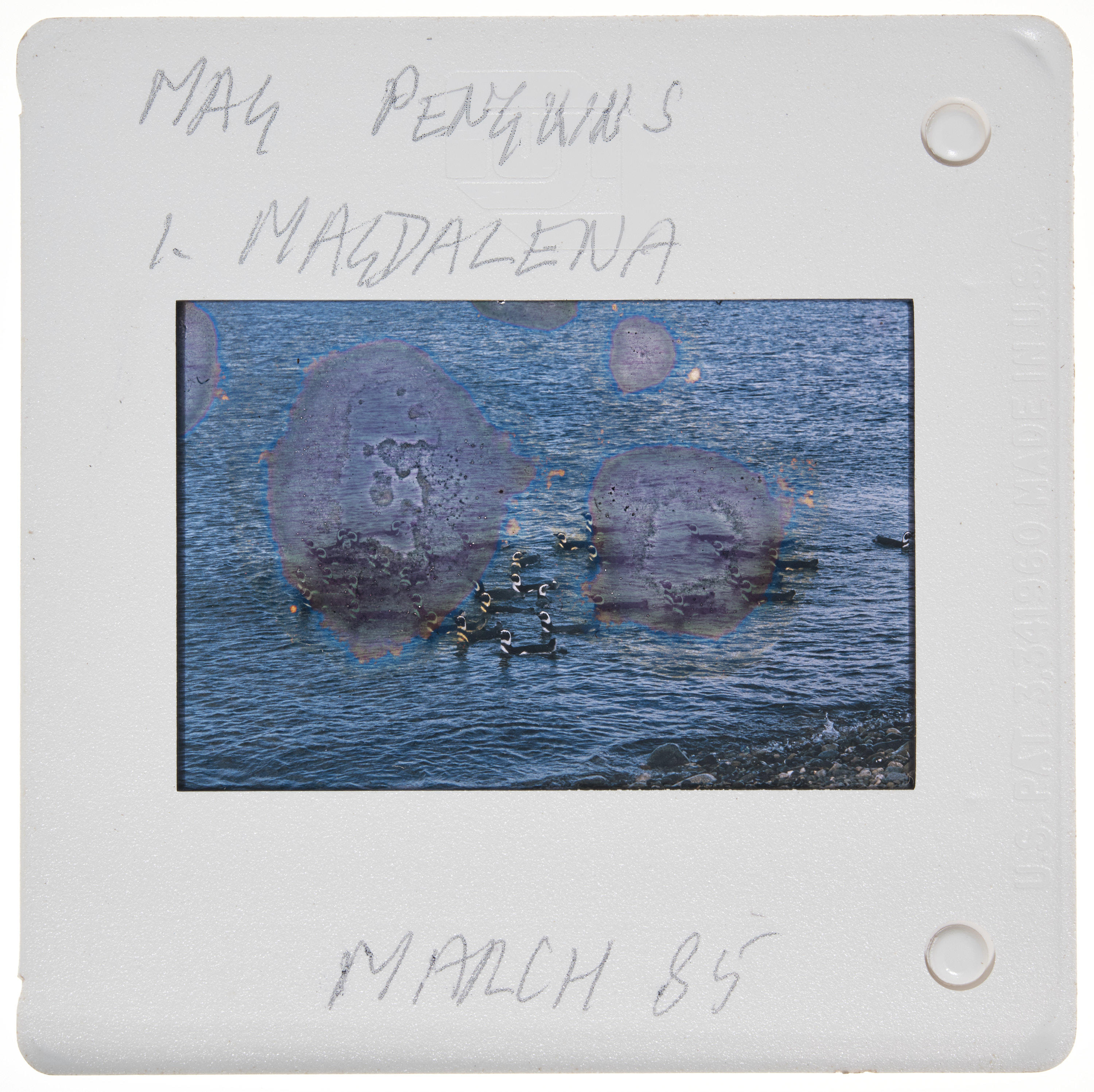 Slide: TOTORORE, Chile, Mar 1985 - New Zealand Maritime Museum