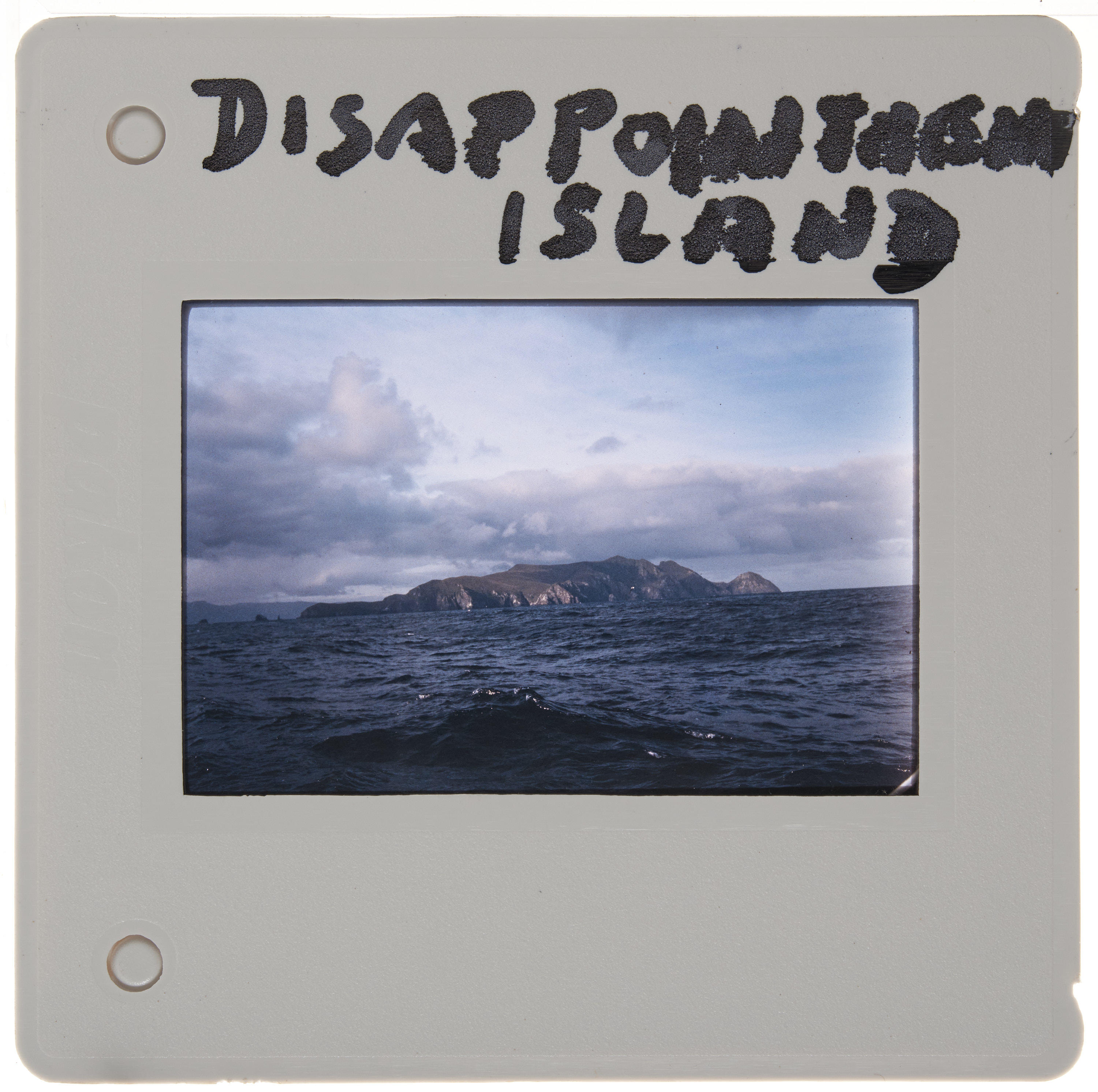 Slide: Disappointment Island, Auckland Islands, Jan 1994 - New Zealand ...