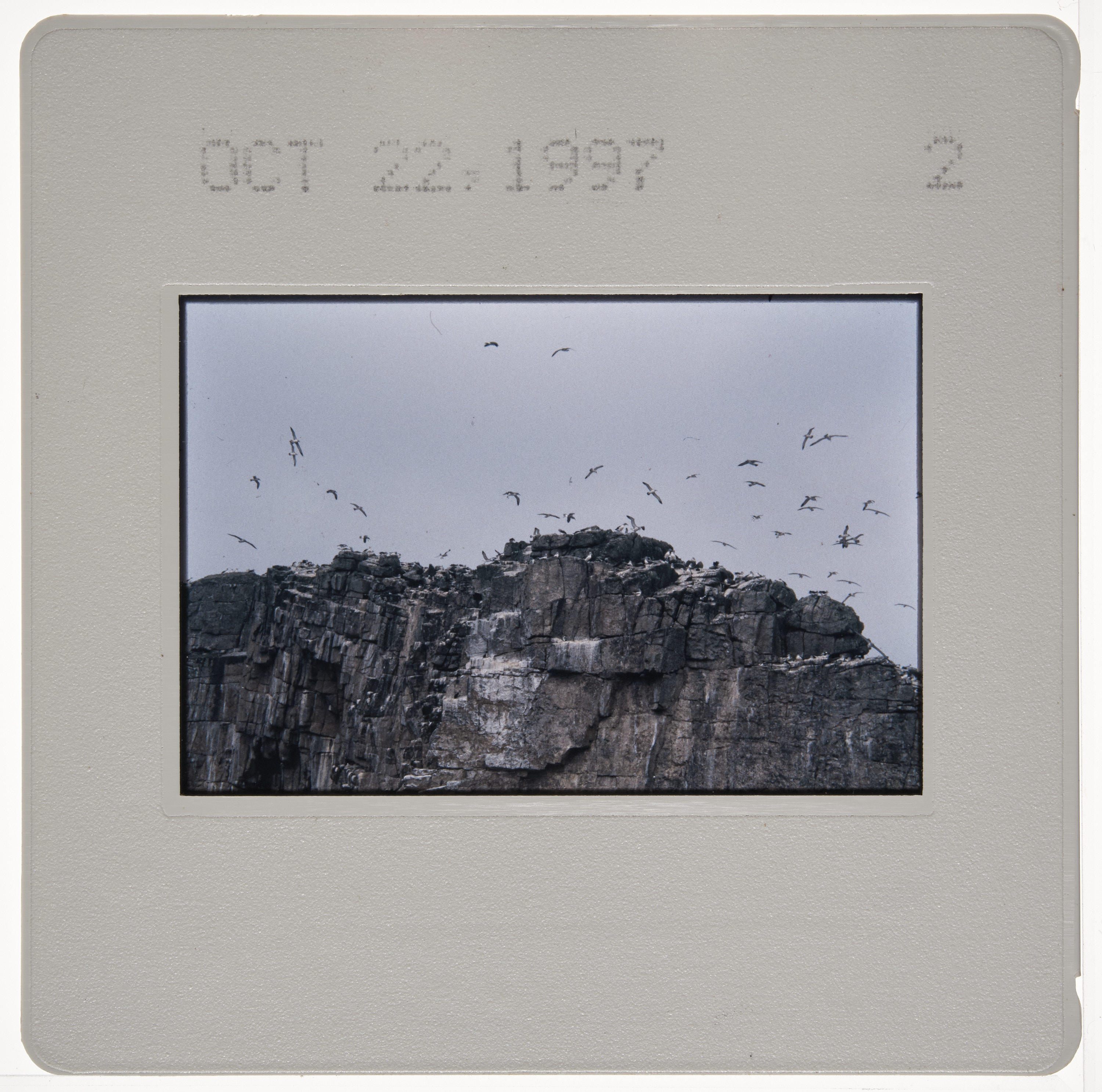Slide: The Bounty Islands, 1997 - New Zealand Maritime Museum