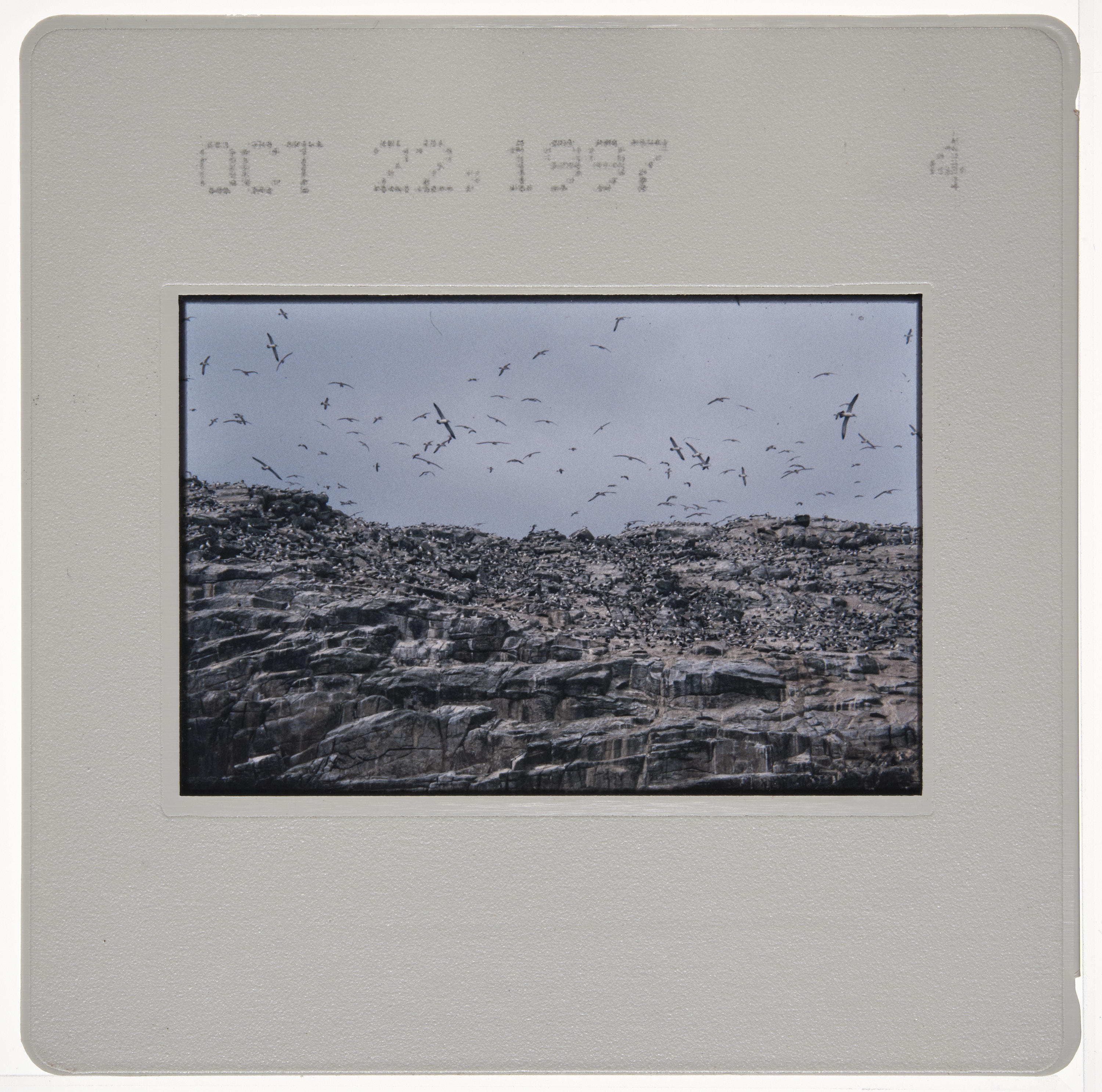 Slide: The Bounty Islands, 1997 - New Zealand Maritime Museum