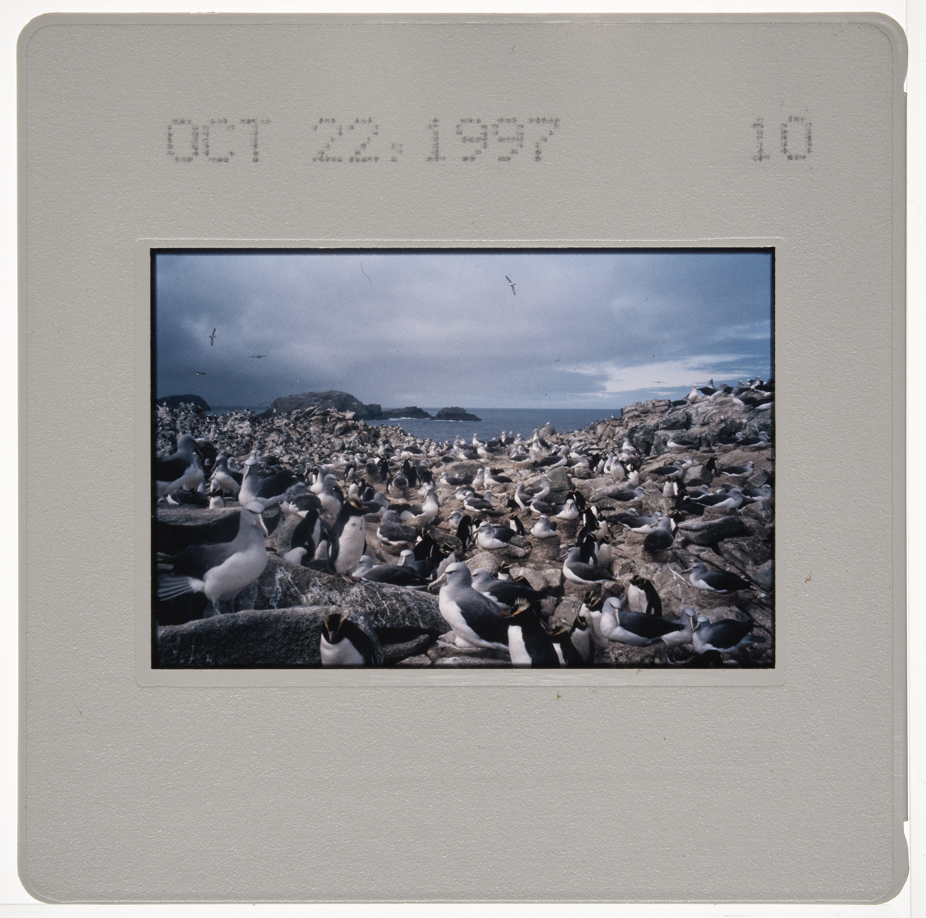 Slide: The Bounty Islands, 1997 - New Zealand Maritime Museum