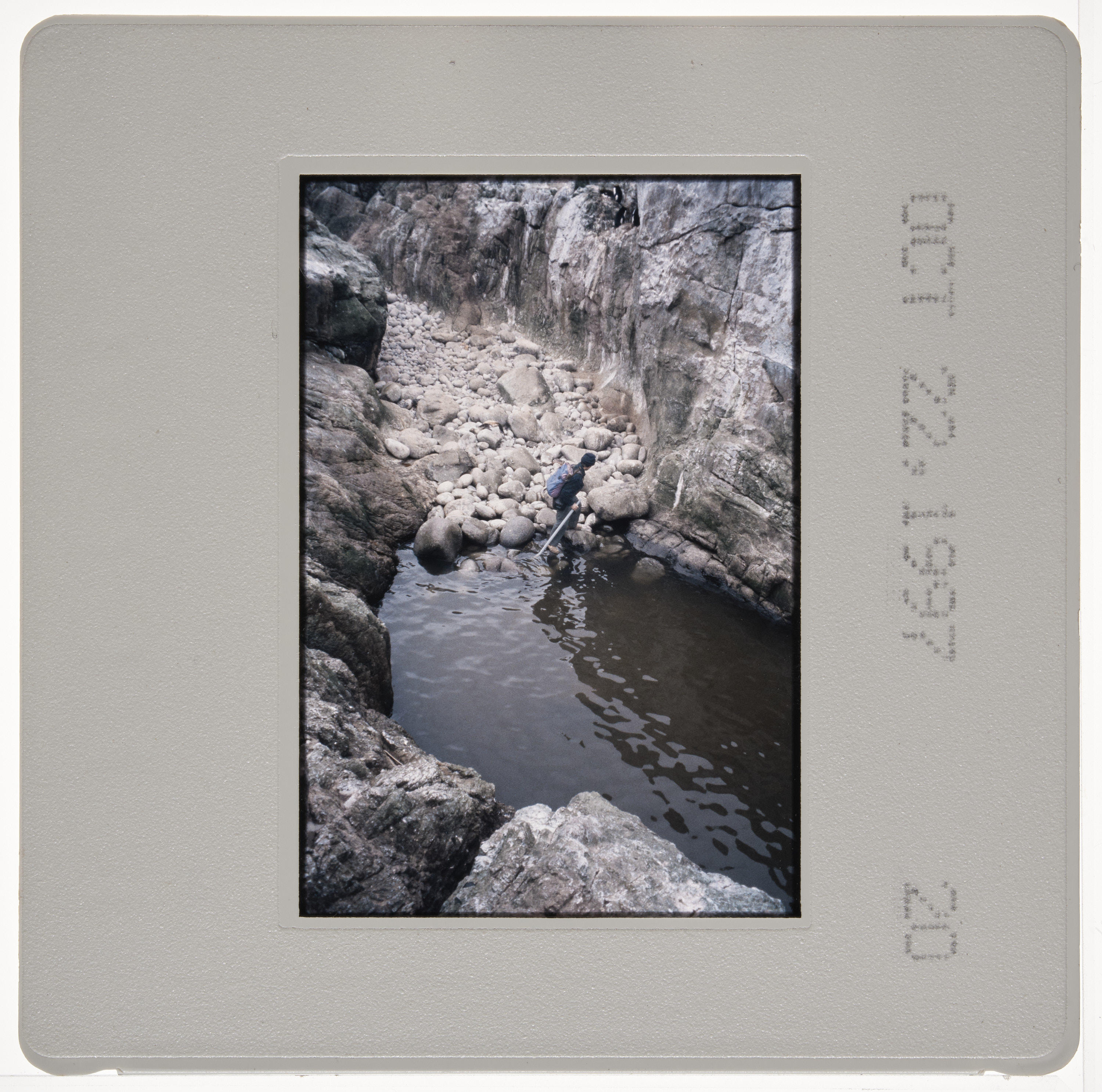 Slide: The Bounty Islands, 1997 - New Zealand Maritime Museum