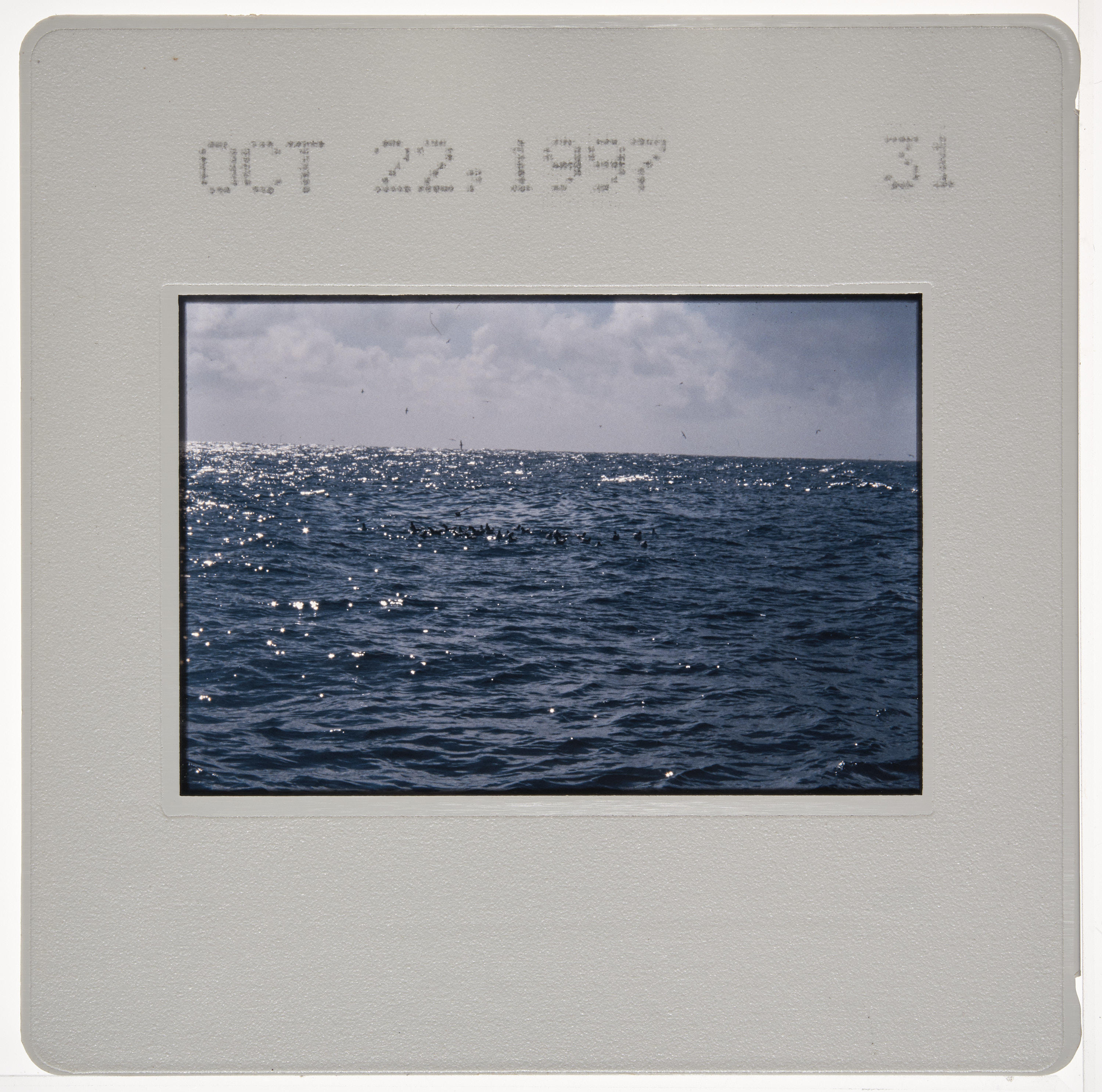 Slide: The Bounty Islands, 1997 - New Zealand Maritime Museum