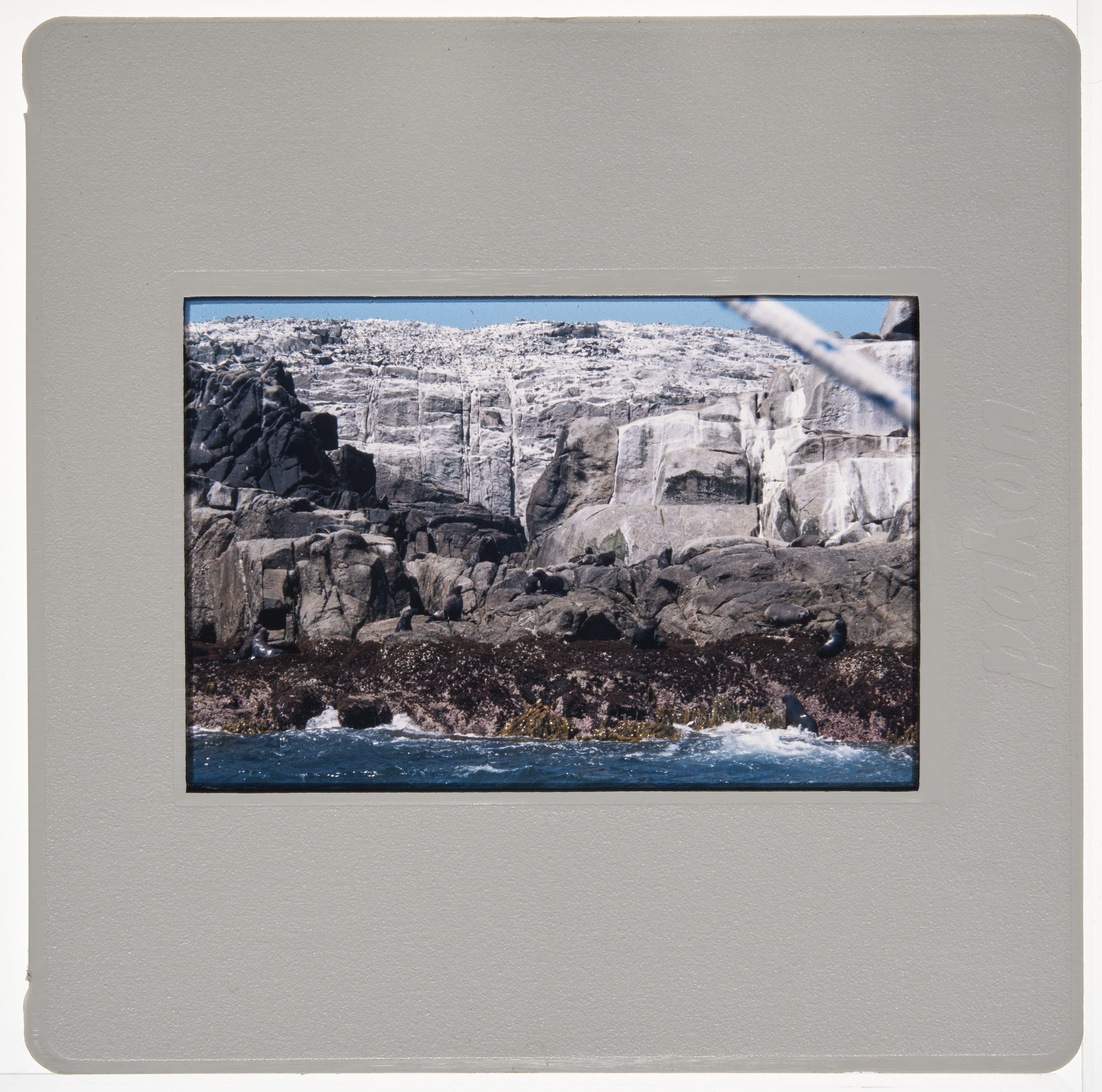 Slide: The Bounty Islands, 1997 - New Zealand Maritime Museum