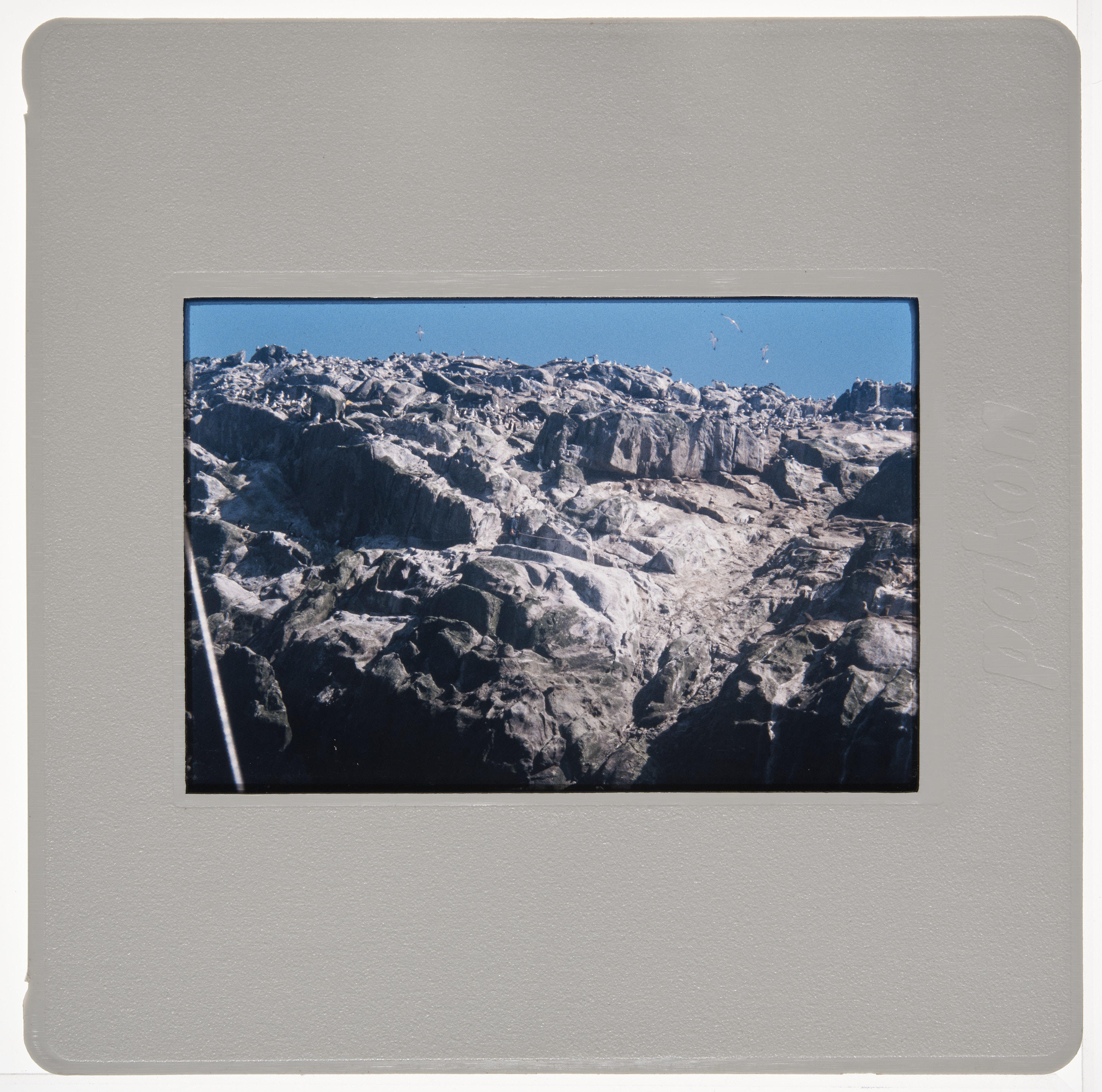 Slide: The Bounty Islands, 1997 - New Zealand Maritime Museum