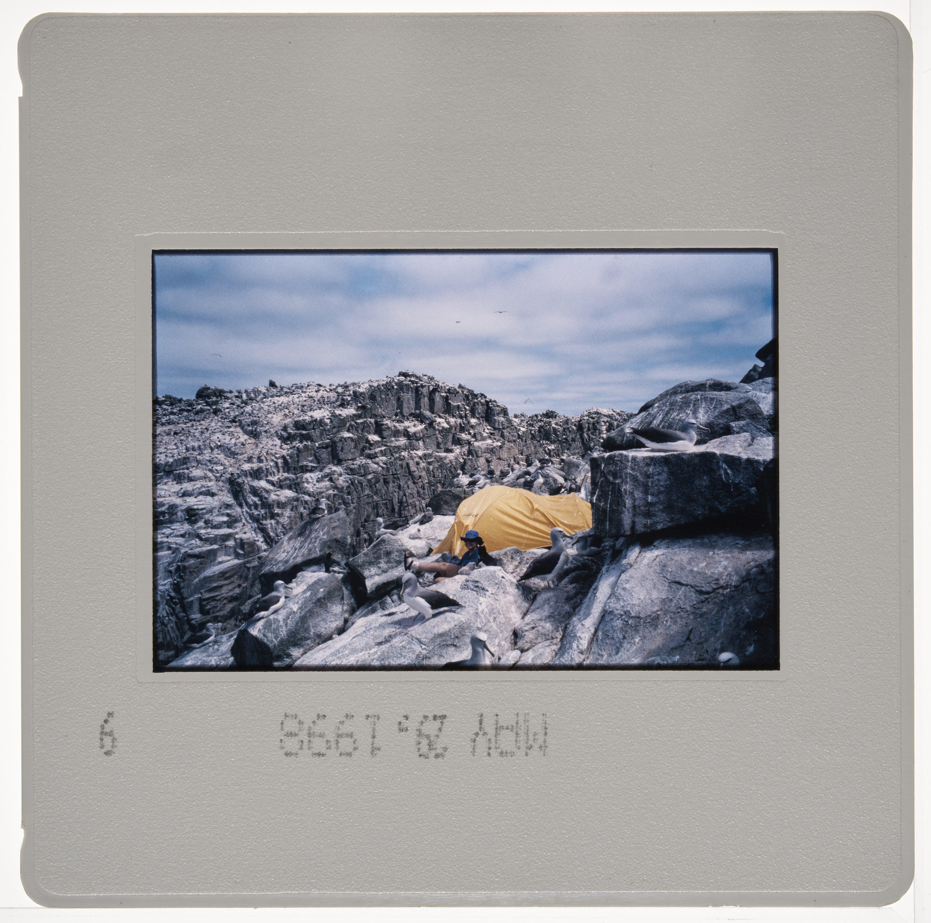 Slide: The Bounty Islands, 1997 - New Zealand Maritime Museum