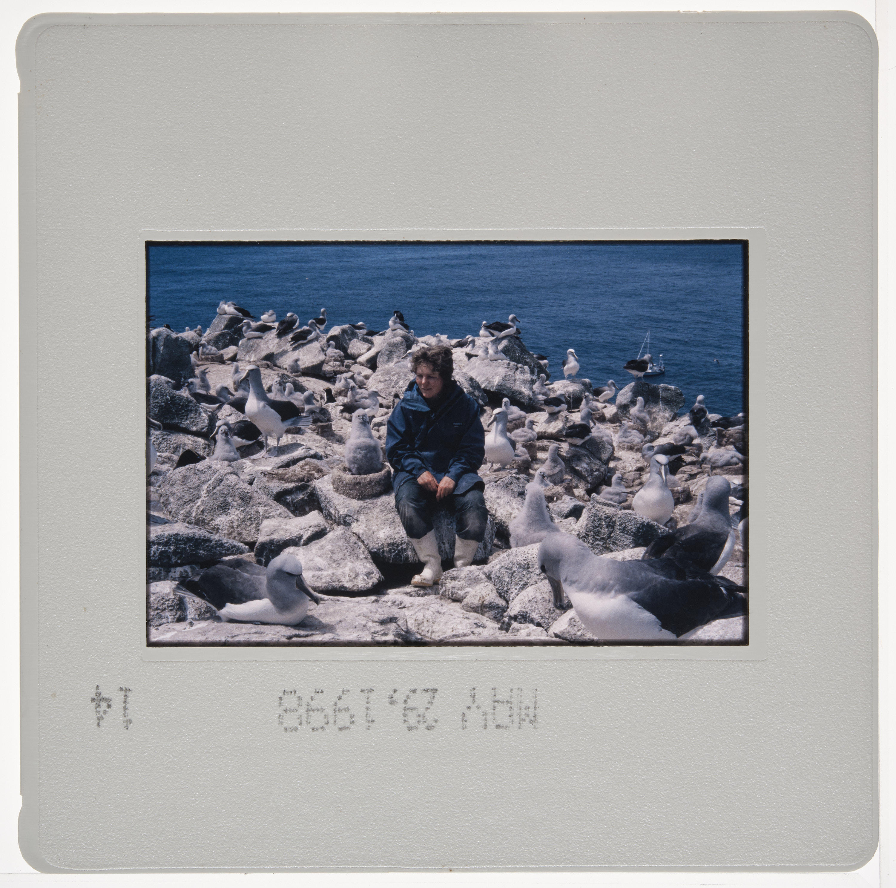 Slide: The Bounty Islands, 1997 - New Zealand Maritime Museum