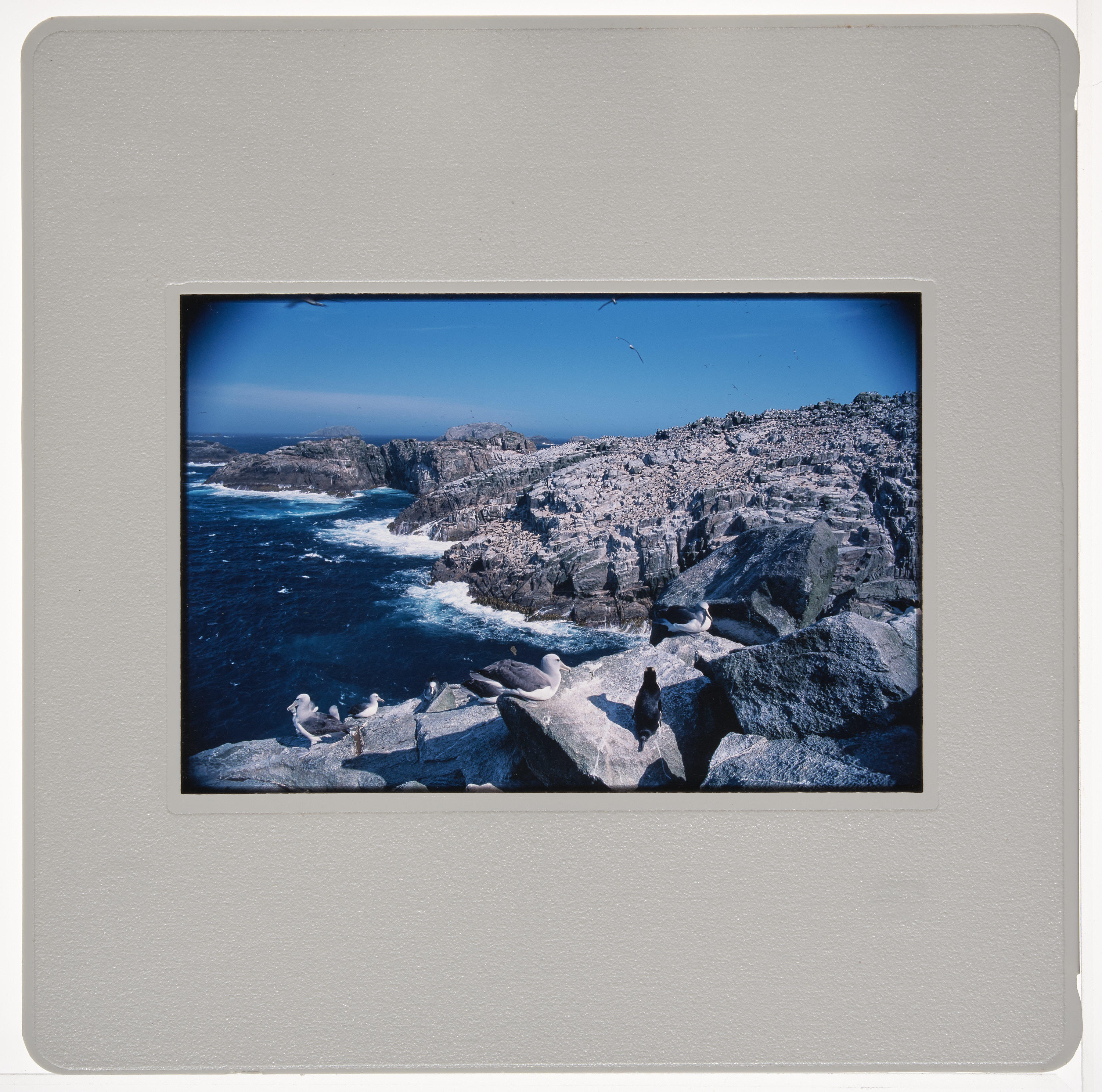 Slide: The Bounty Islands, 1998 - New Zealand Maritime Museum