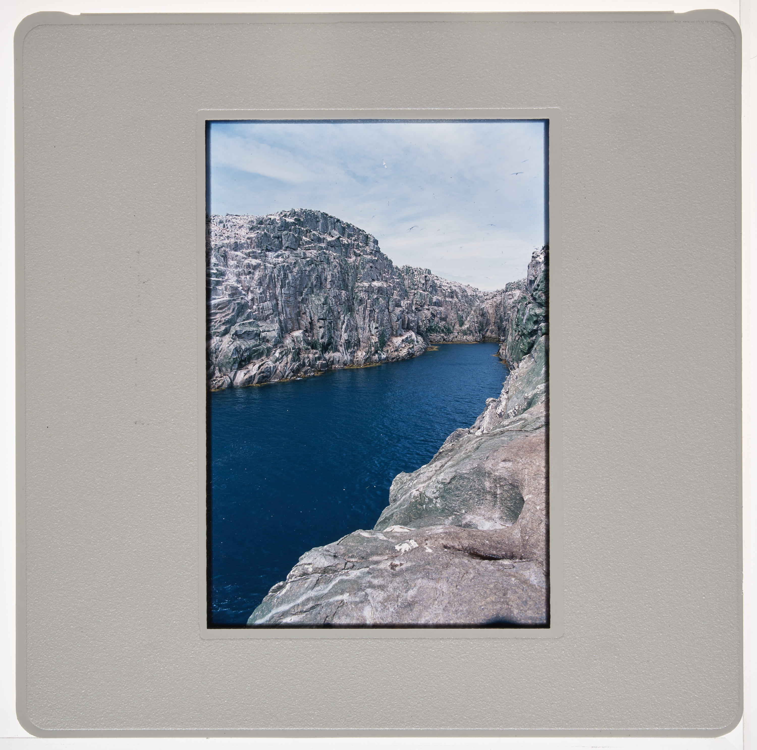 Slide: The Bounty Islands, 1998 - New Zealand Maritime Museum