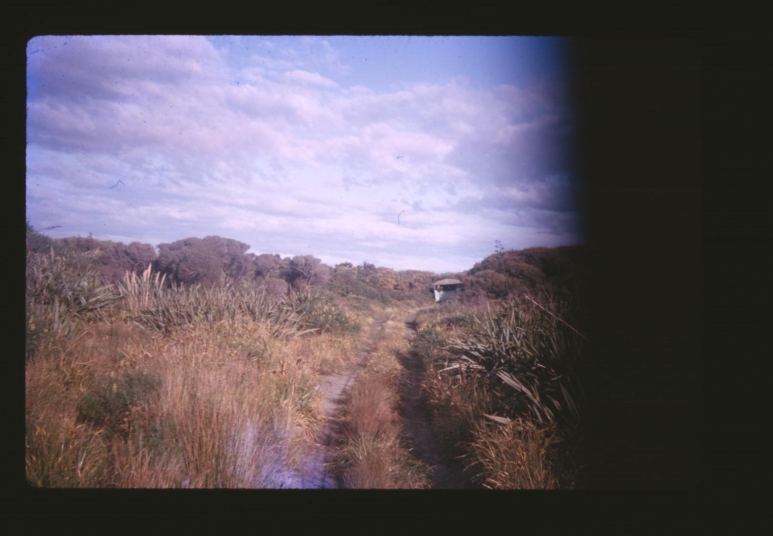 Slide: 'Farewell Spit Road' - New Zealand Maritime Museum