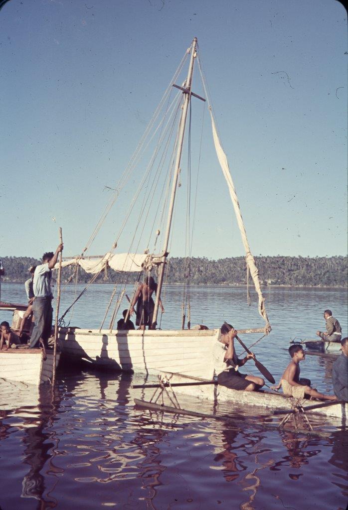 Slide: Vessels gathered to observe whale being butchered - New Zealand ...