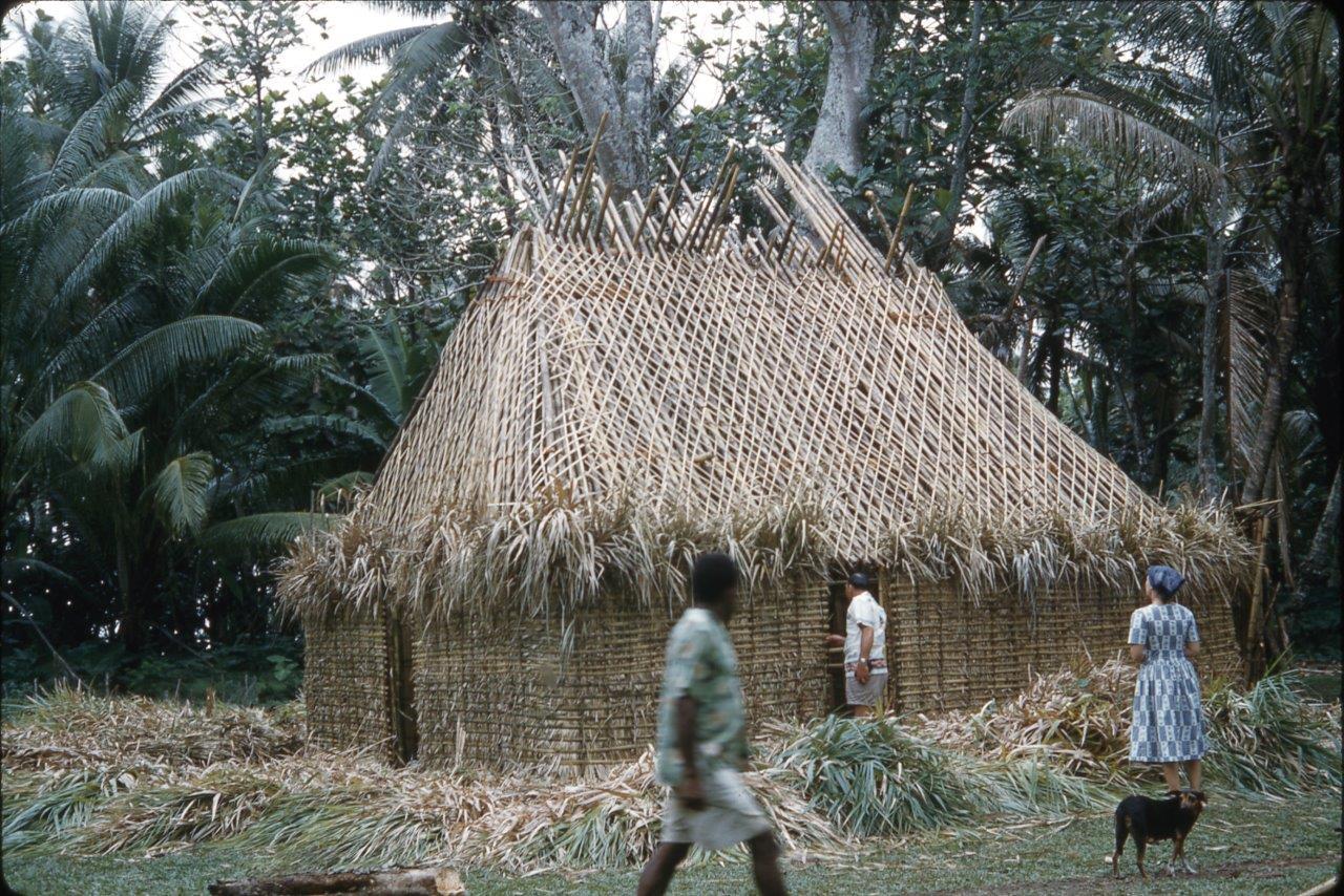 Slide: House, traditional (possibly Fijian) - New Zealand Maritime Museum