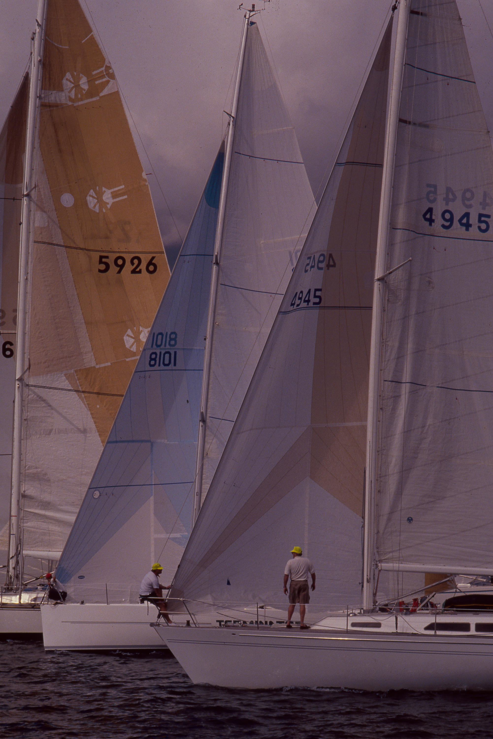 Slide: LONGFELLOW (K5926), TERMINATOR (K8101), BLIZZARD (K4945 ...