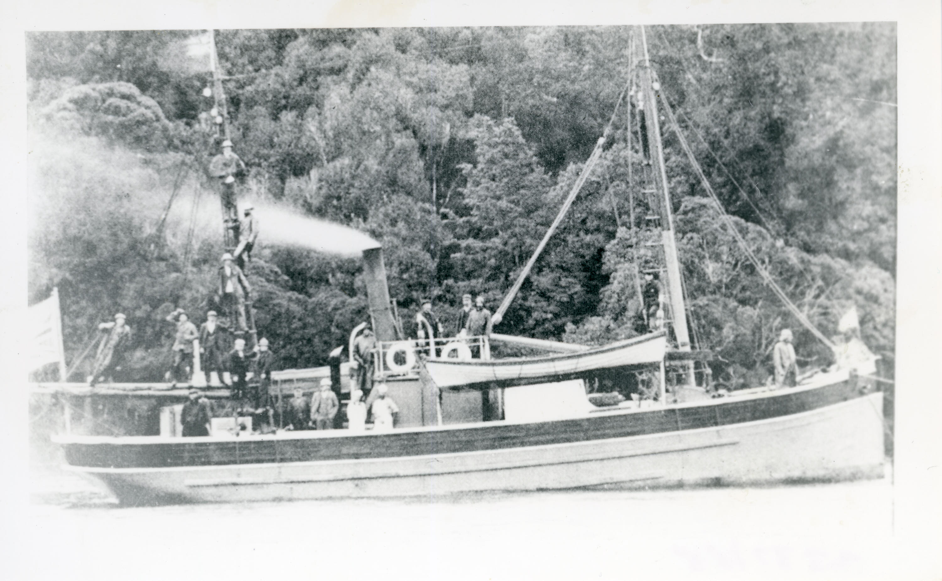 Photograph: SS RITA at Basin Creek, Stewart Island - New Zealand ...