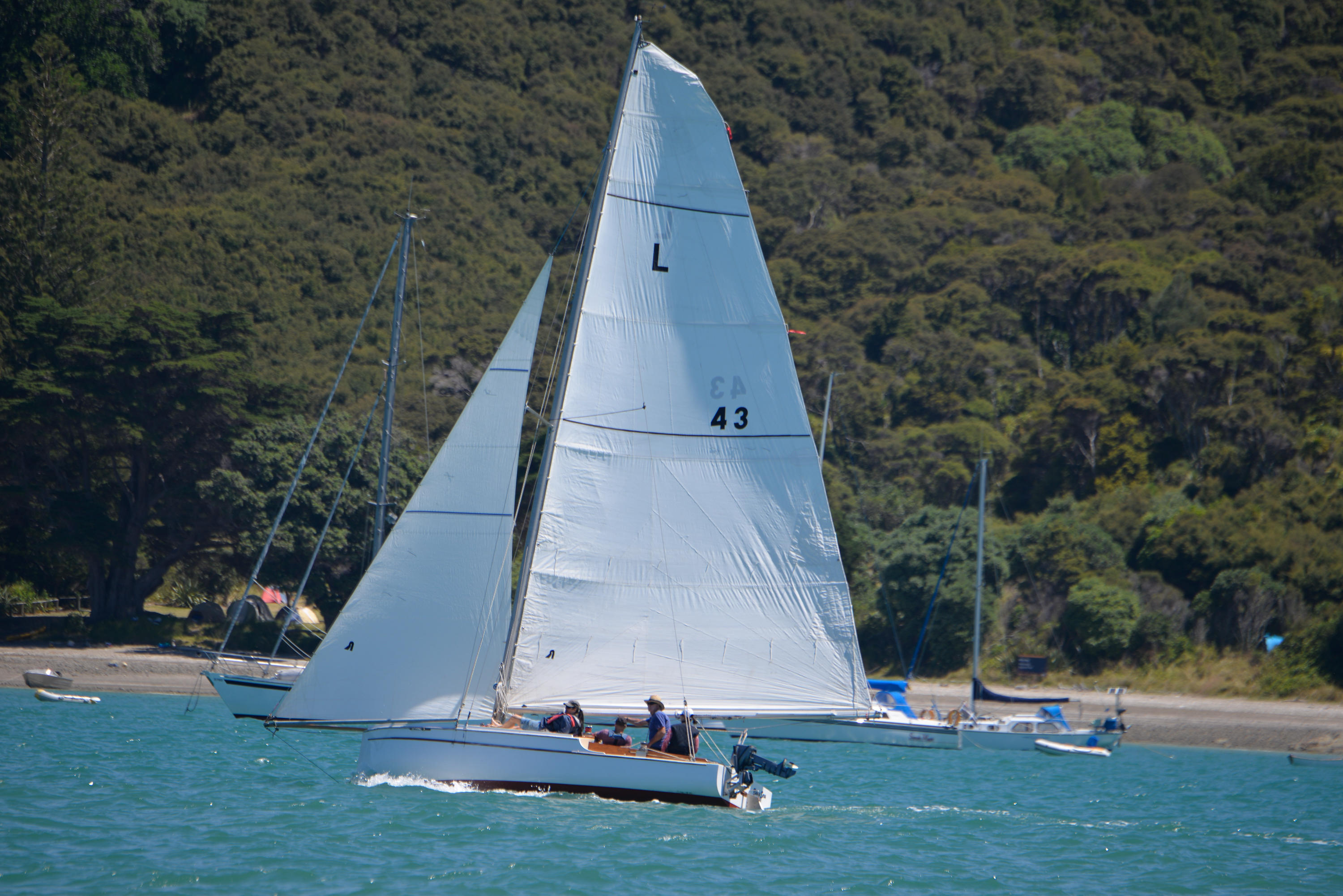 Photograph: L-class Mullet boat BUONA SERA - New Zealand Maritime Museum