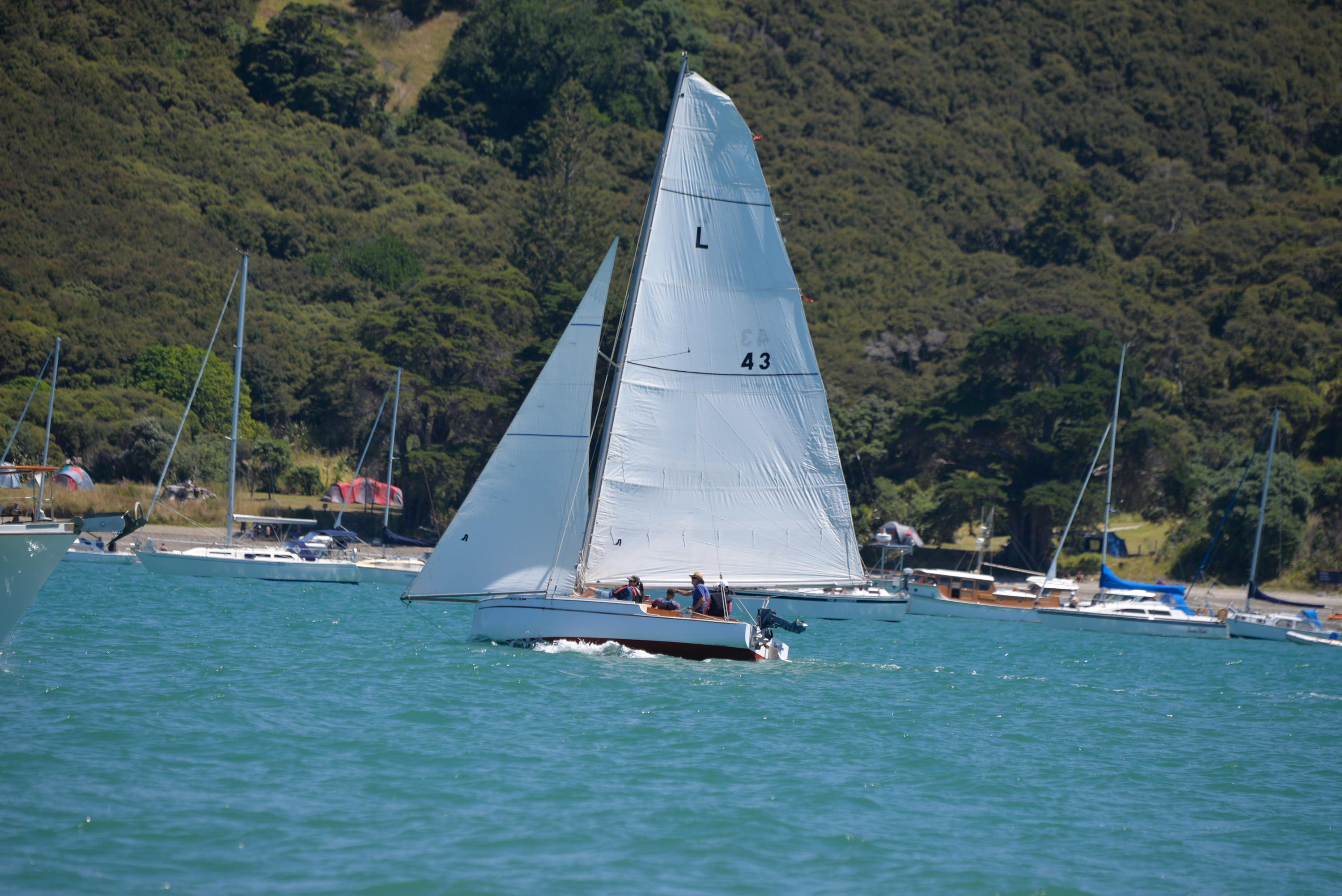 Photograph: L-class Mullet boat BUONA SERA - New Zealand Maritime Museum