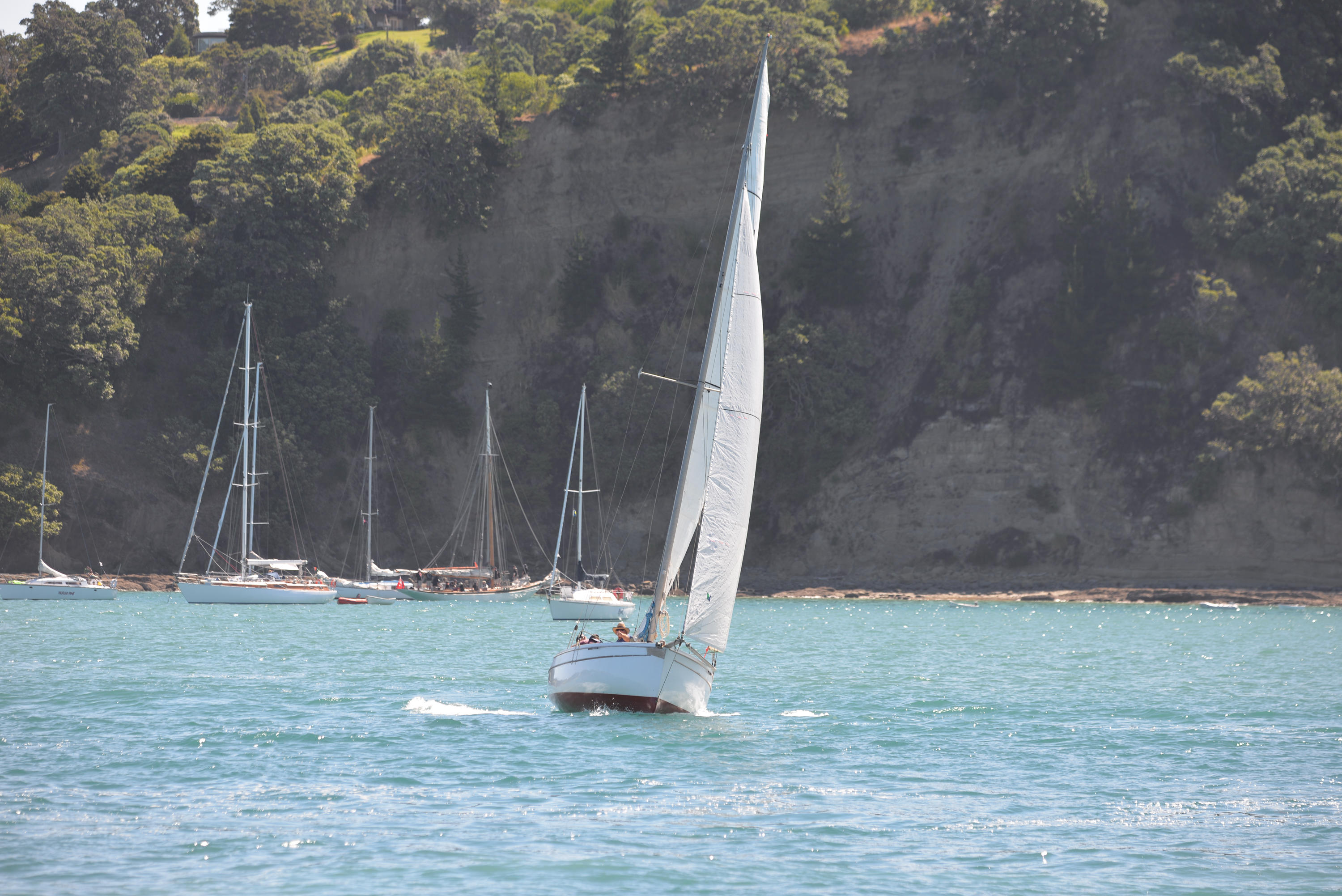 Photograph: L-class Mullet boat BUONA SERA - New Zealand Maritime Museum