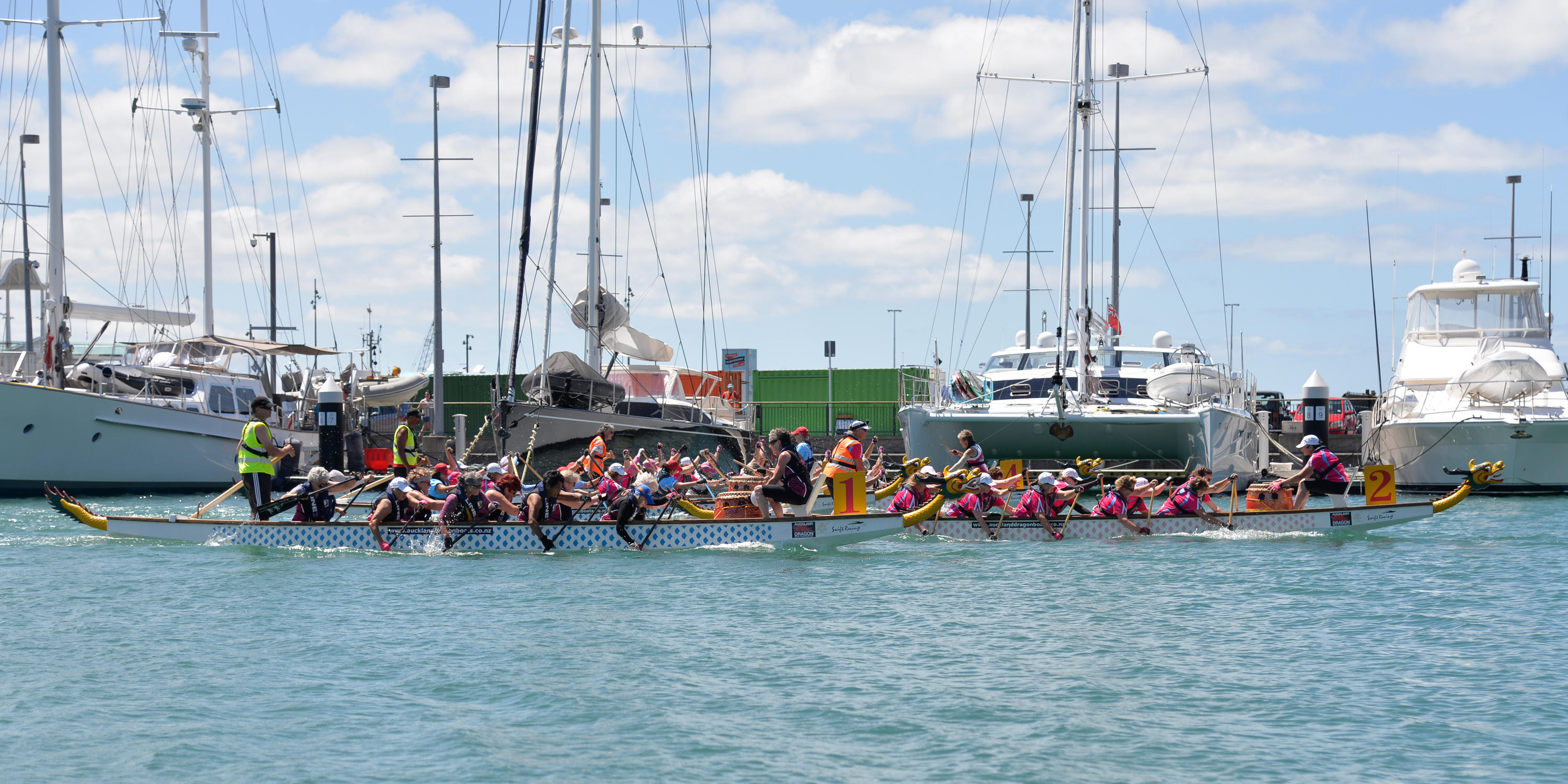 Photograph: WAKA AMA race on Viaduct Basin, Waitematā Harbour - New ...