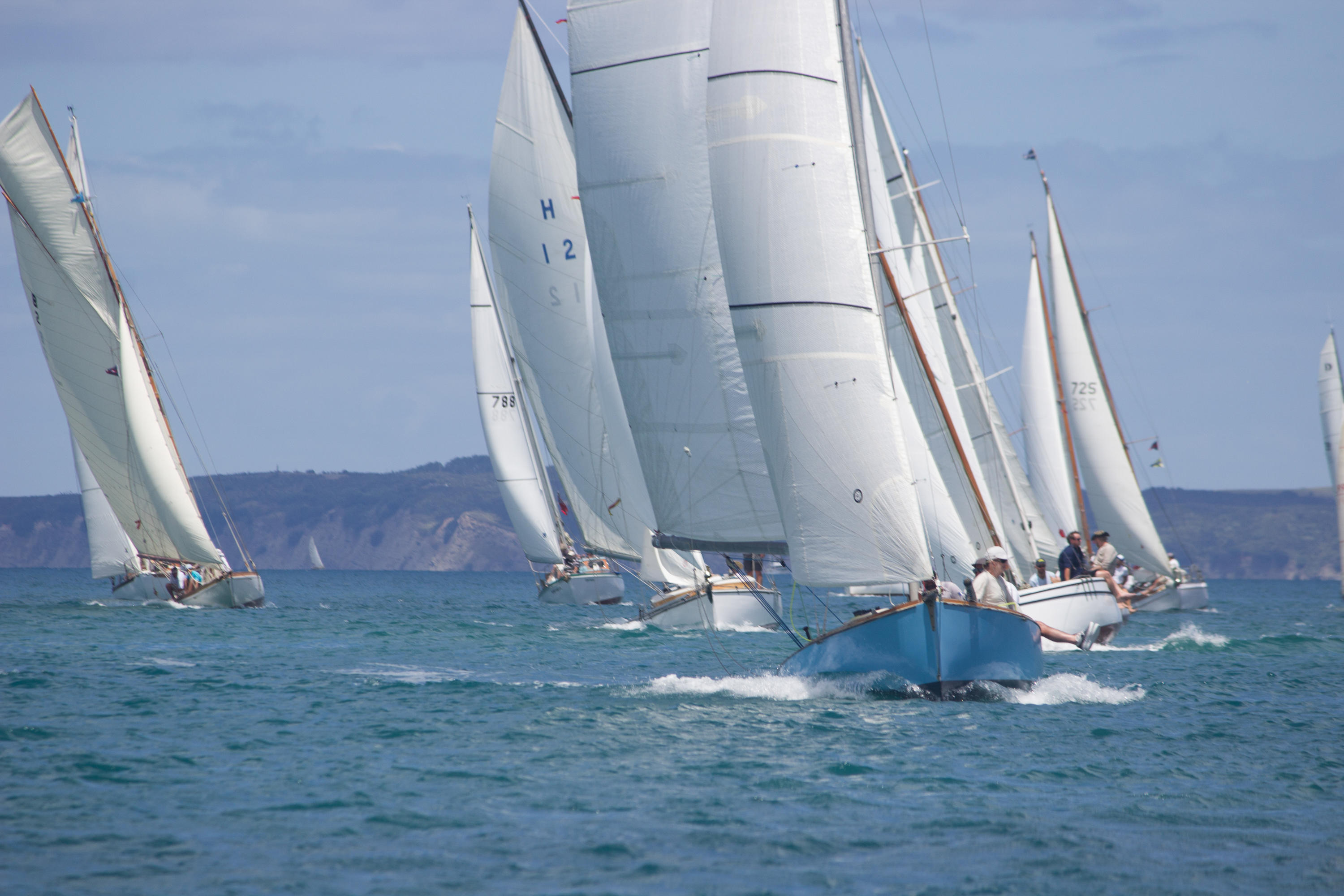 Photograph: Mullet boat VALERIA and other yachts sailing - New Zealand ...