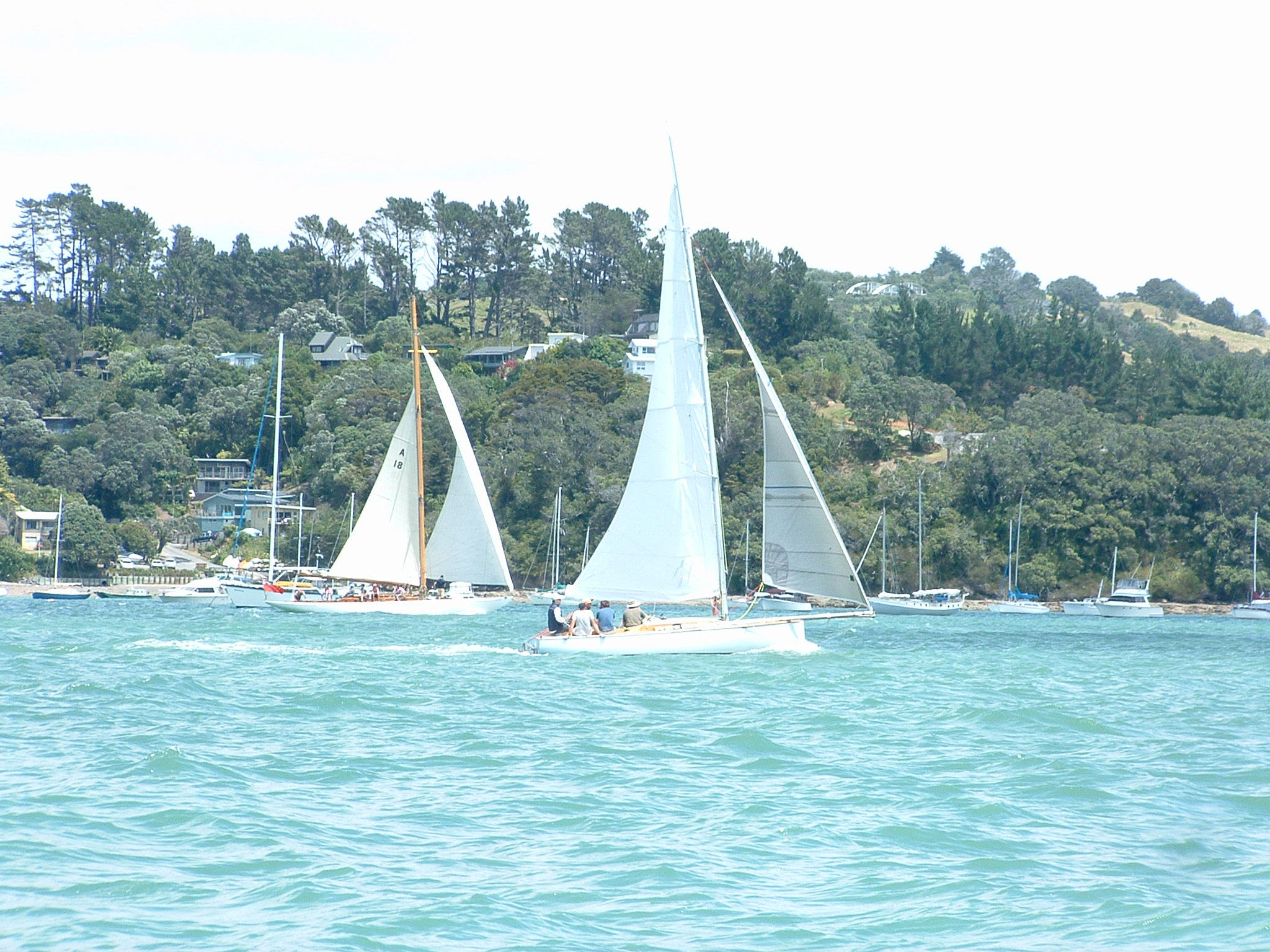 Photograph: Mullet boat VALERIA - New Zealand Maritime Museum