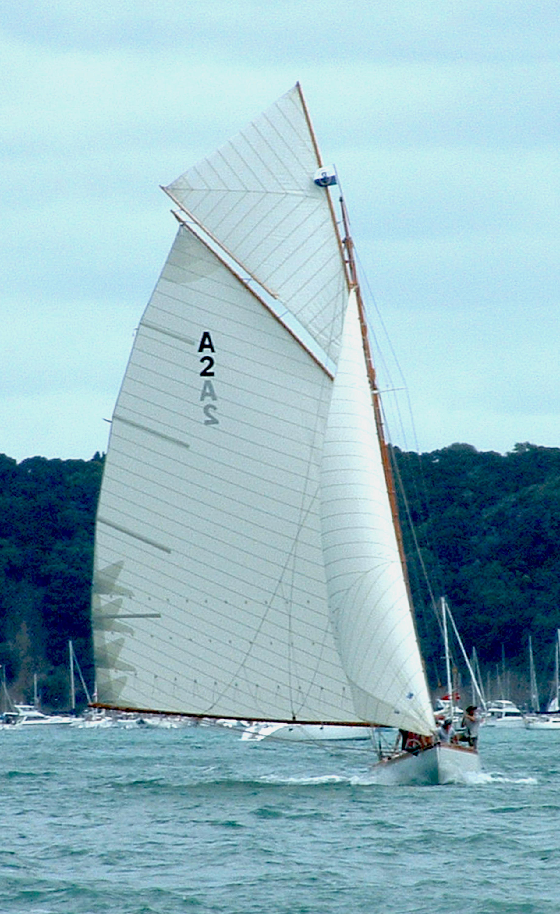 Photograph: RAWHITI on Mahurangi Harbour, Hauraki Gulf - New Zealand ...