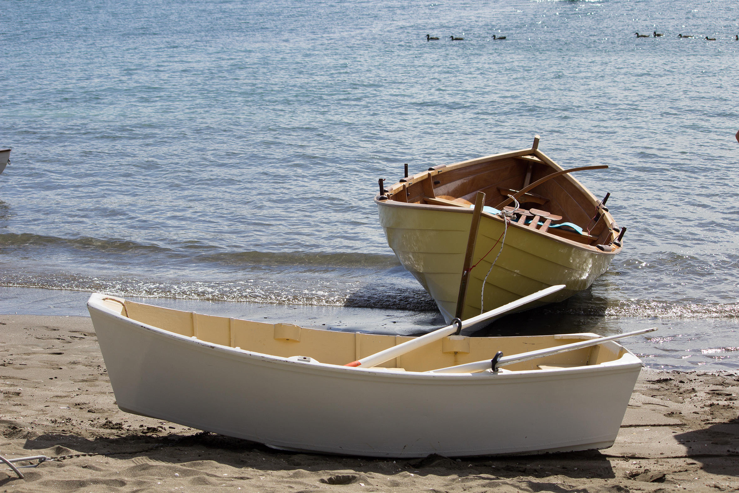 Photograph: Dinghies on beach, Mahurangi Harbour, the Hauraki Gulf ...