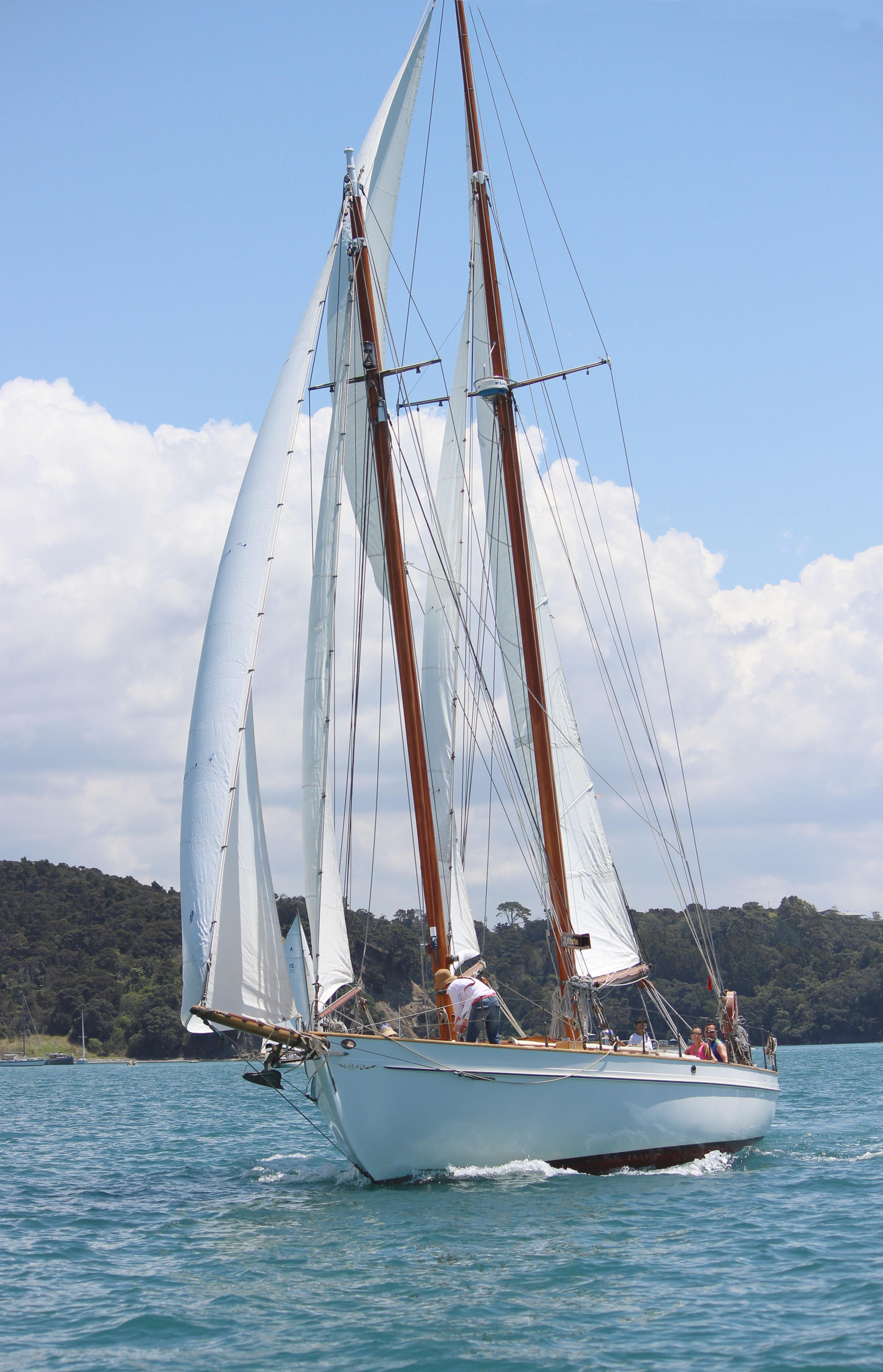 Photograph: ARCTURUS on Mahurangi Harbour, Hauraki Gulf - New Zealand ...
