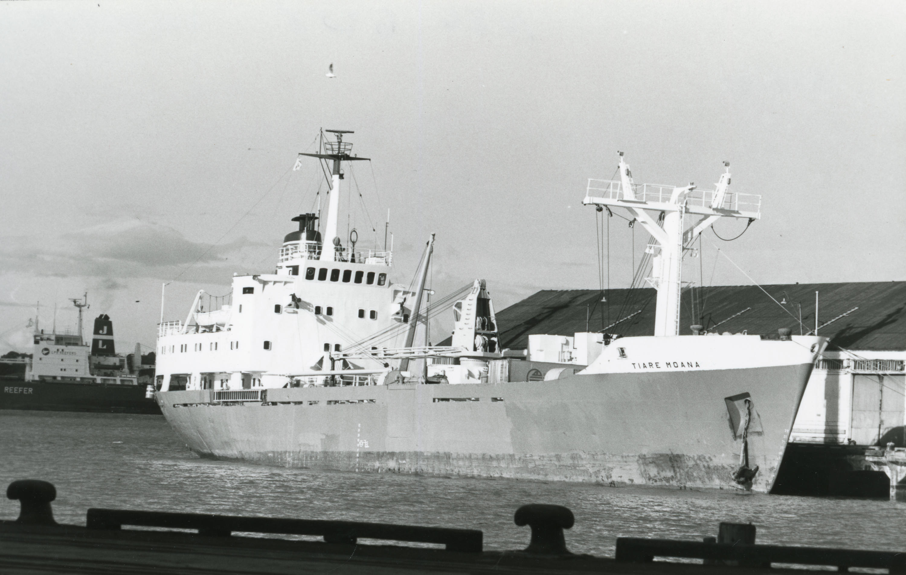 Photograph, Tiare Moana - New Zealand Maritime Museum