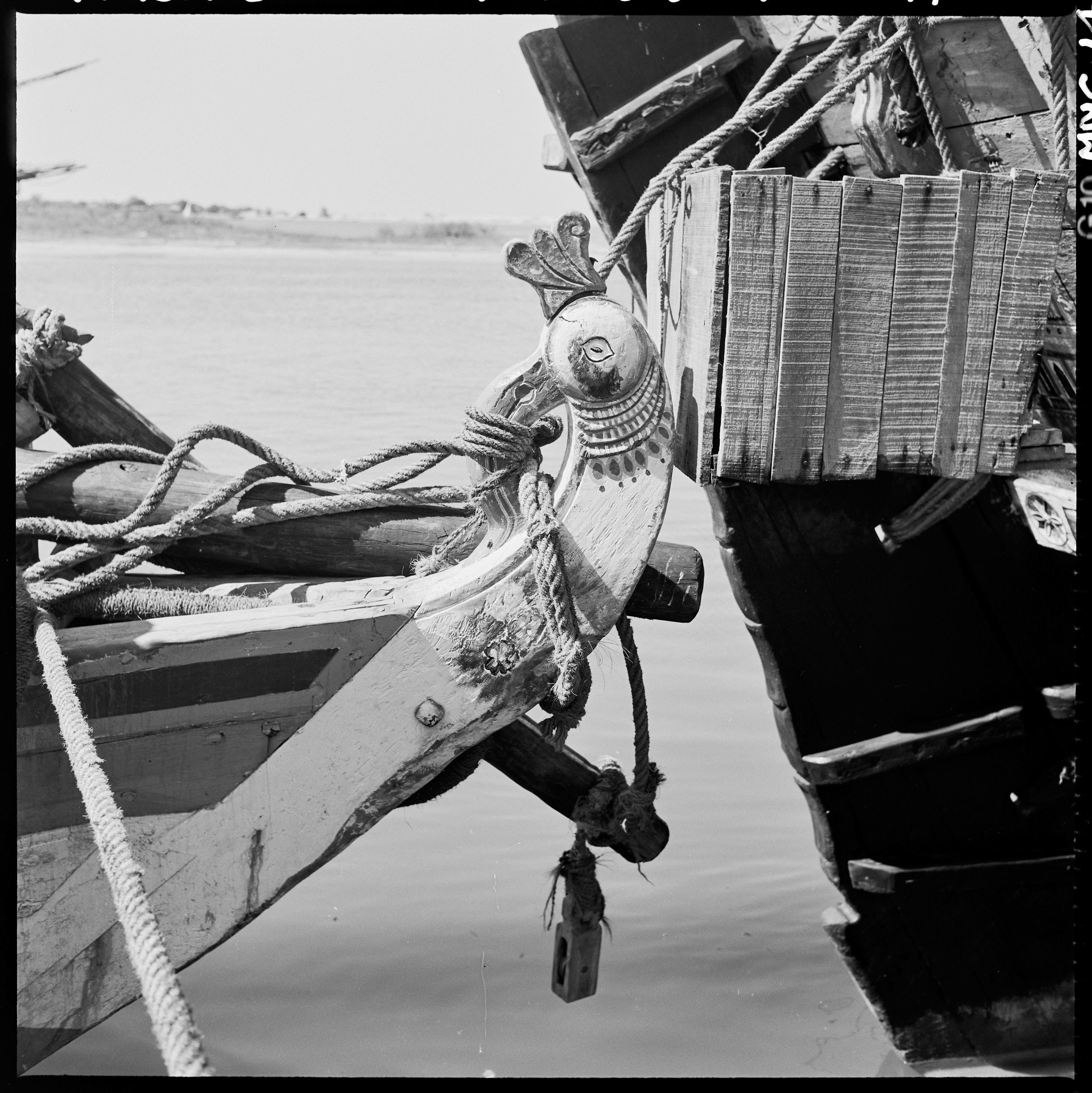 Negative: Manji MOHAMED SALAMATHY, Mangalore, 1973 - New Zealand ...