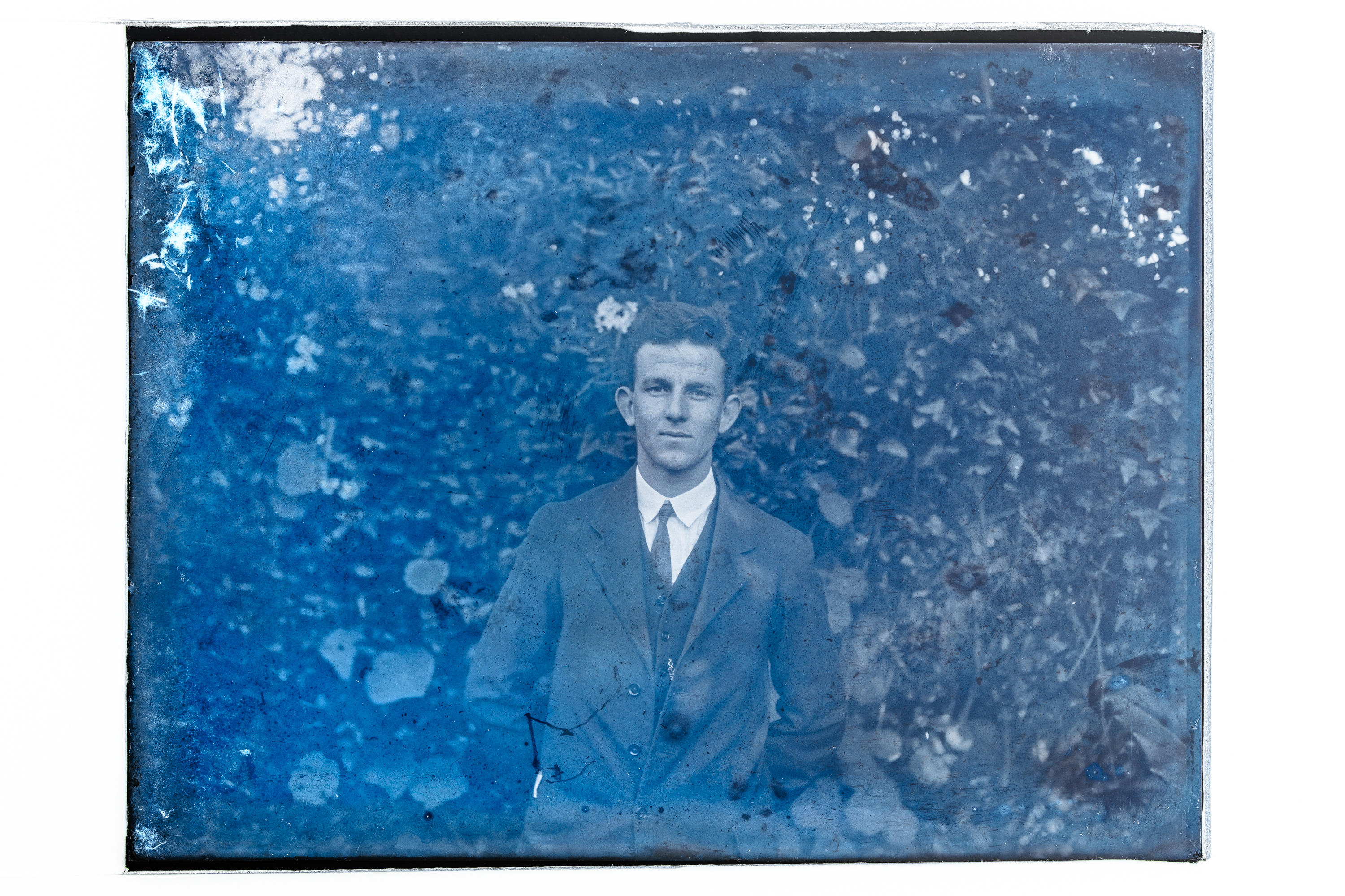 Glass plate: Portrait of young man with shrubs as background - New ...