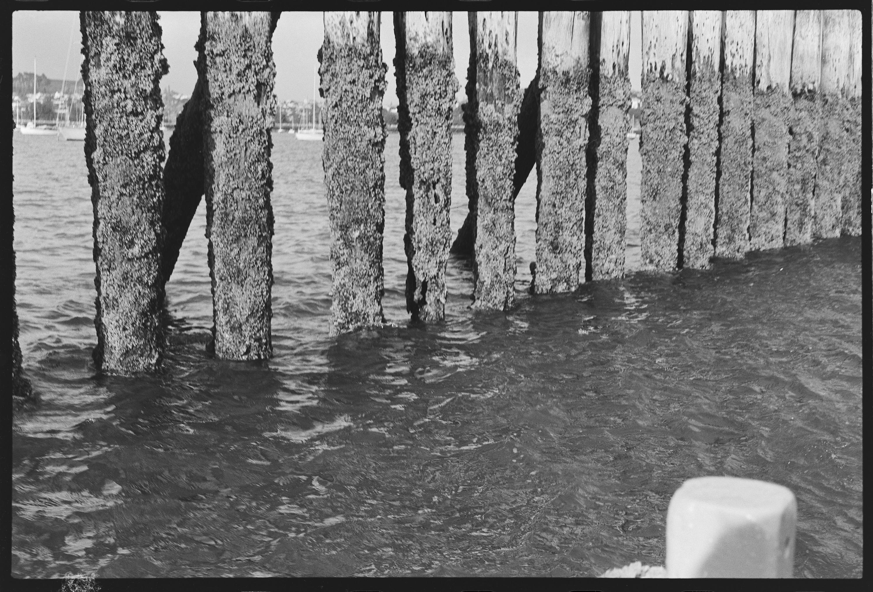 Negative: Auckland Harbour Board - New Zealand Maritime Museum