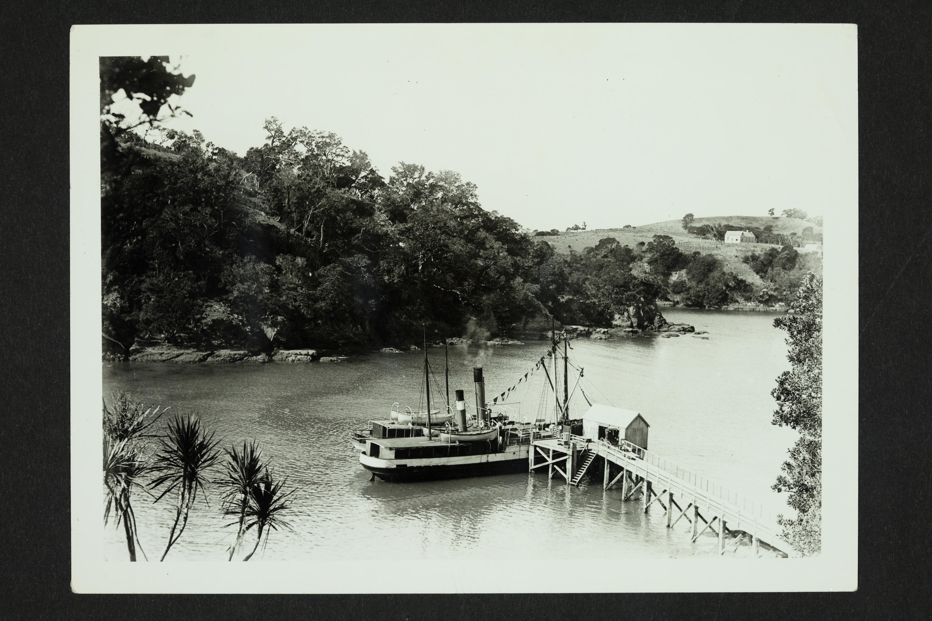 Photograph: KAPANUI, Little Omaha Bay, 1900 - New Zealand Maritime Museum