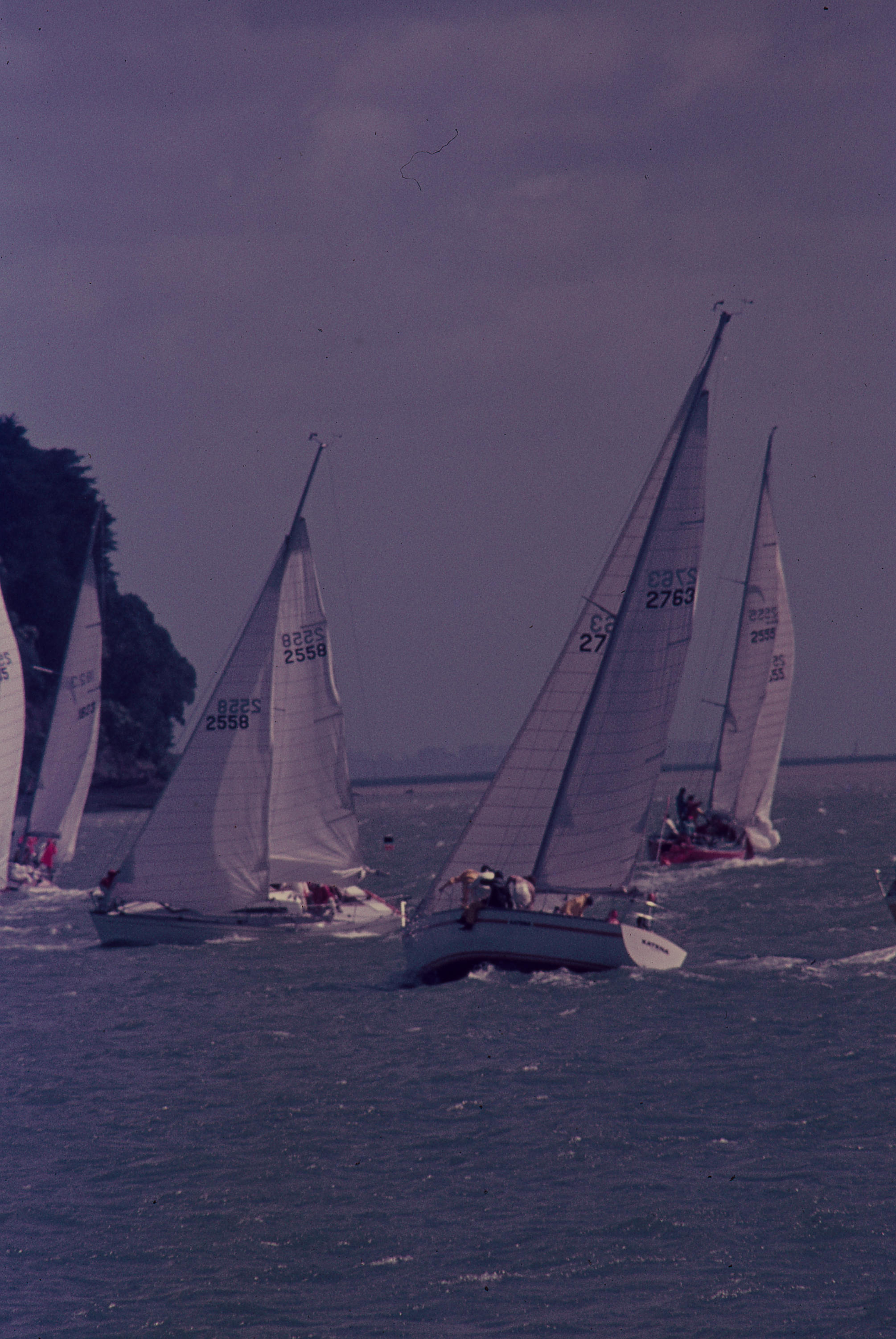 Slide: 1976 Dunhill Cup 9/76 - New Zealand Maritime Museum