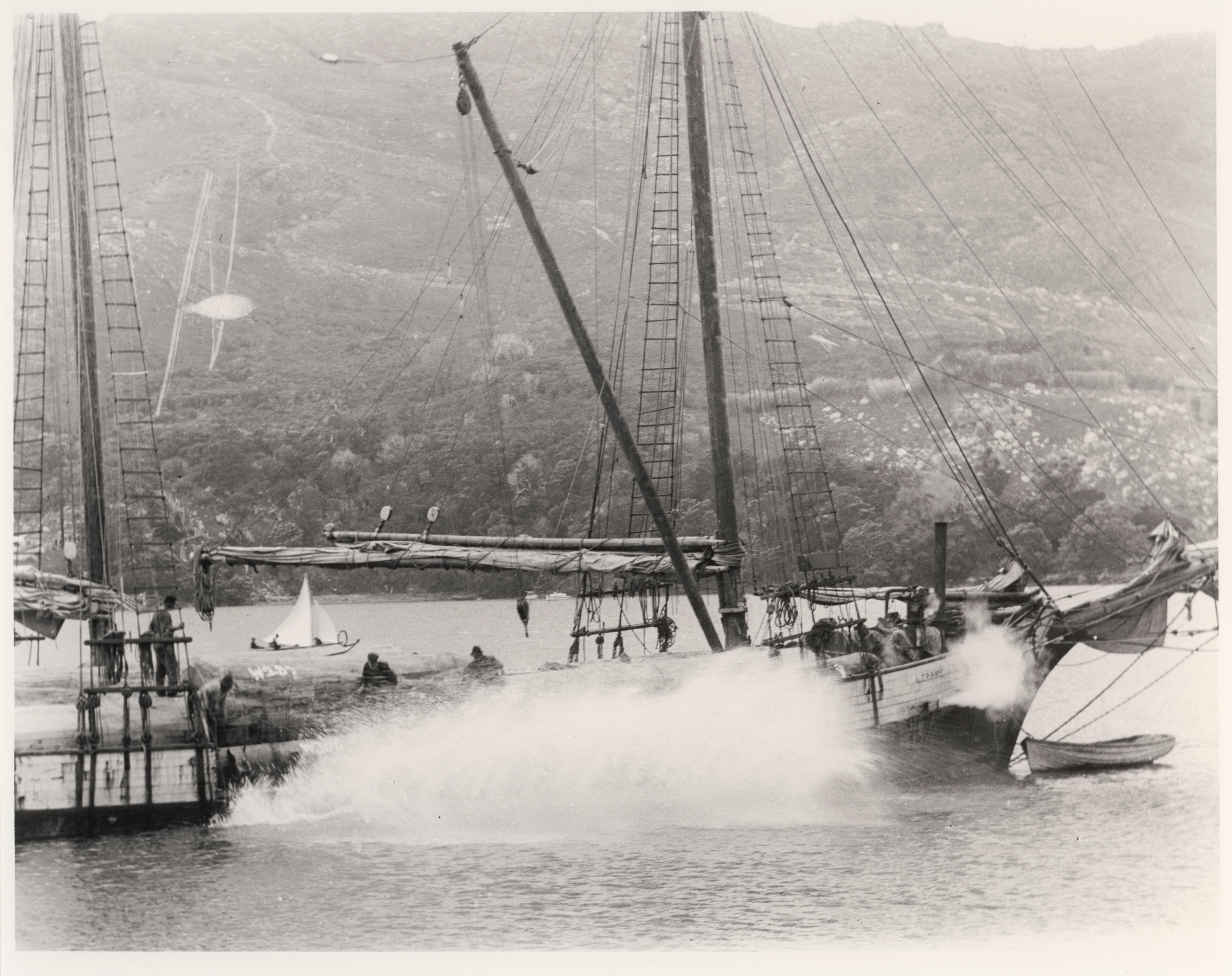 Photograph: TRAMP (1902) dropping a log off the deck - New Zealand ...